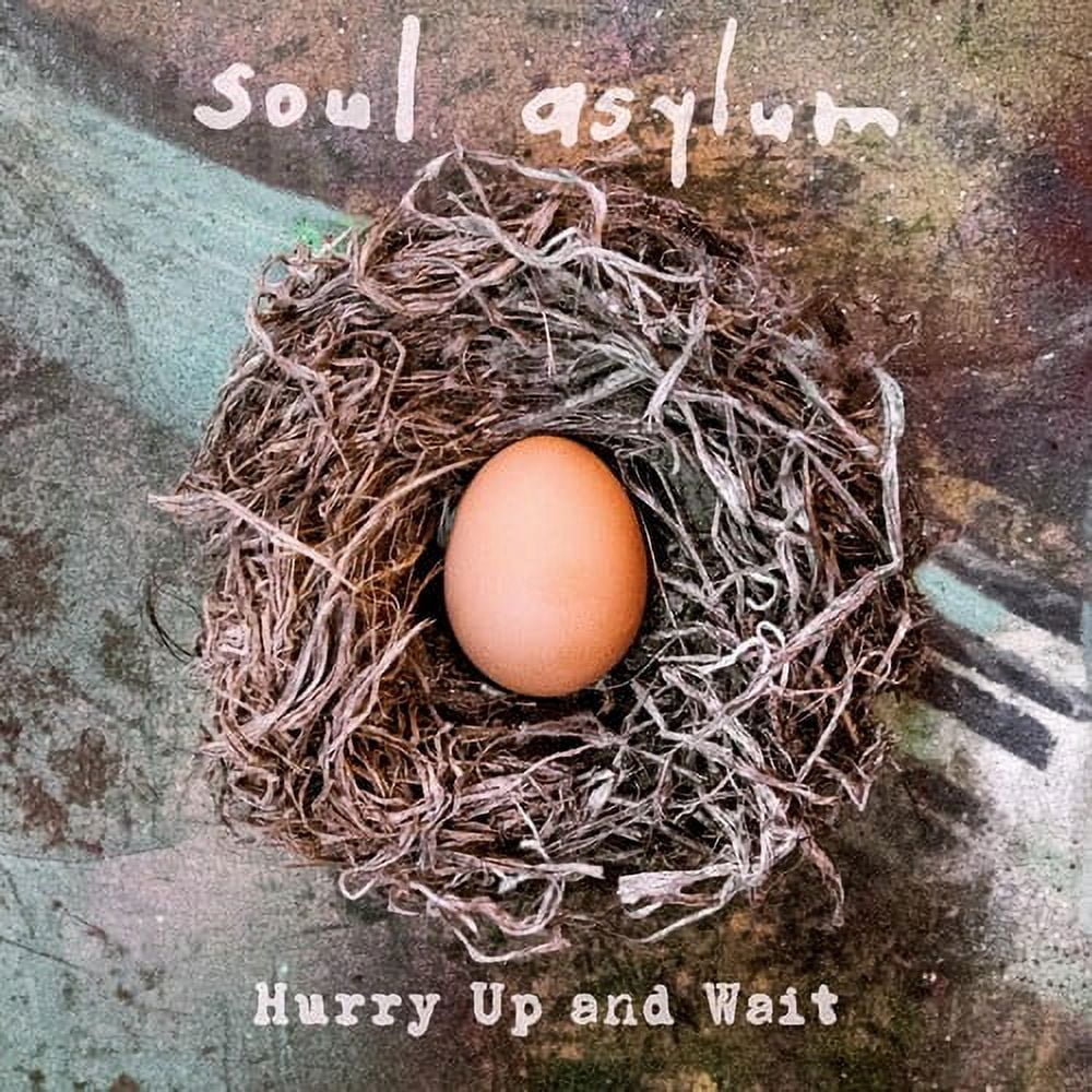 Soul Asylum - Hurry Up & Wait - Rock - Vinyl - Walmart.com