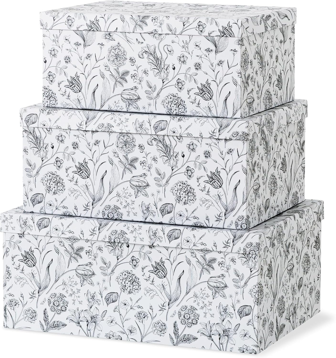 Soul & Lane Decorative Cardboard Storage Boxes For Home Décor - Modern ...