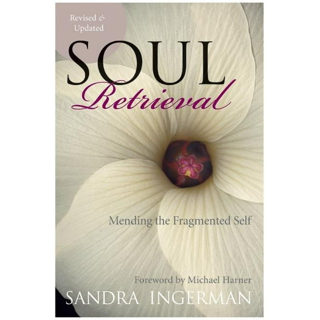 Soul Retrieval: Mending the Fragmented Self, (Paperback) - Walmart.com