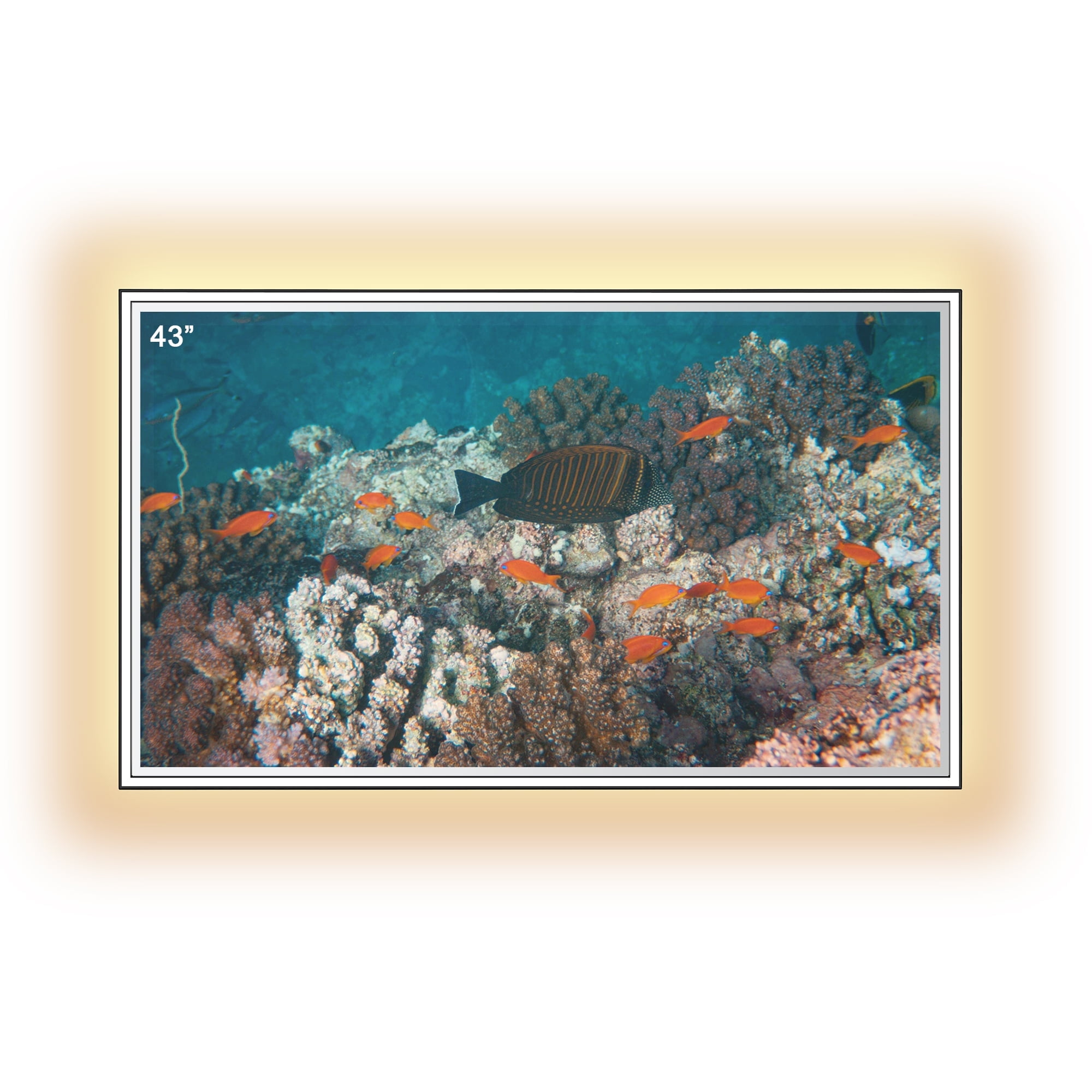 Soulaca 43 inches LED Light Mirror TV 4K Screen Decoration Makeup LED ...