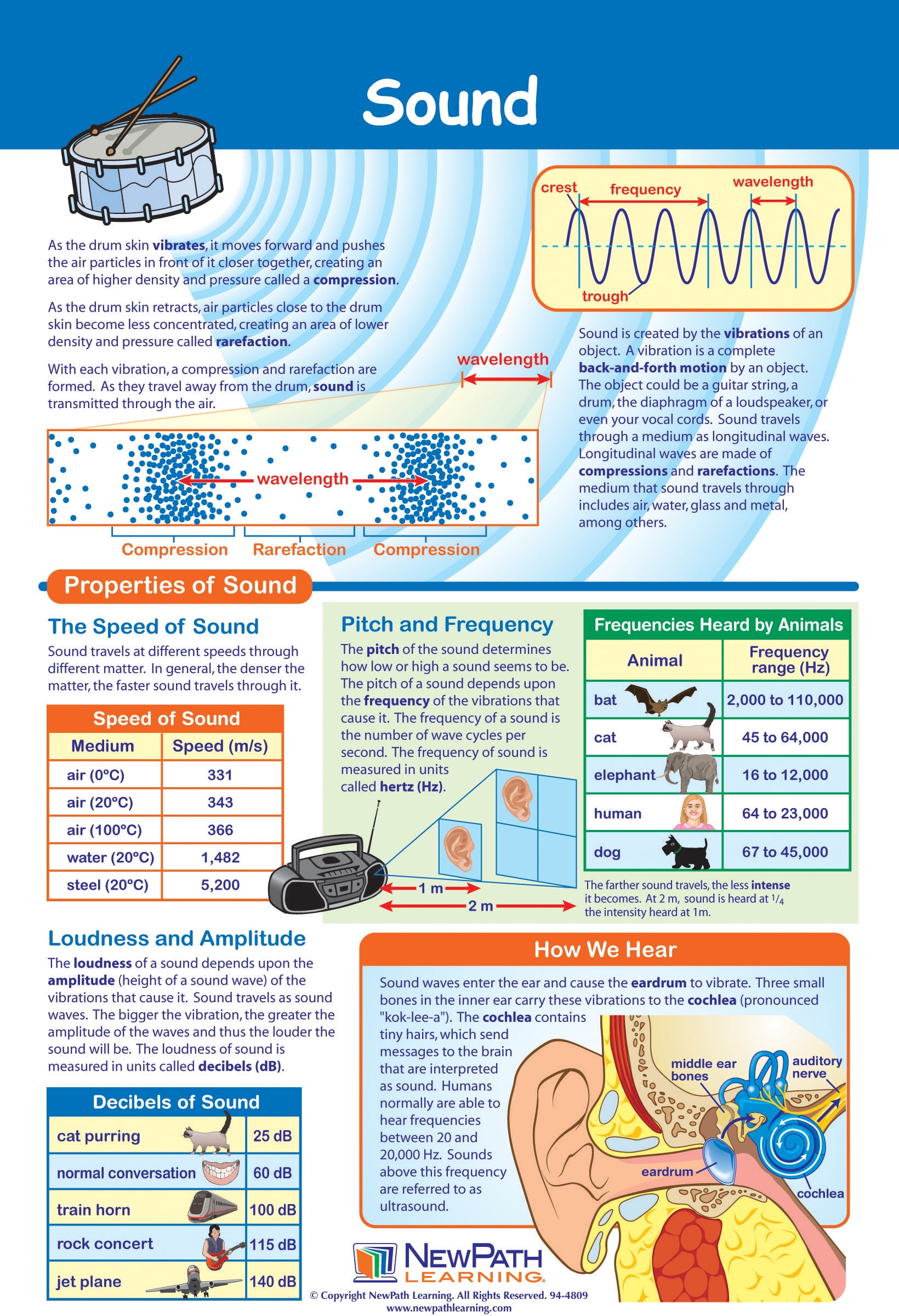 Sound Poster - Walmart.com