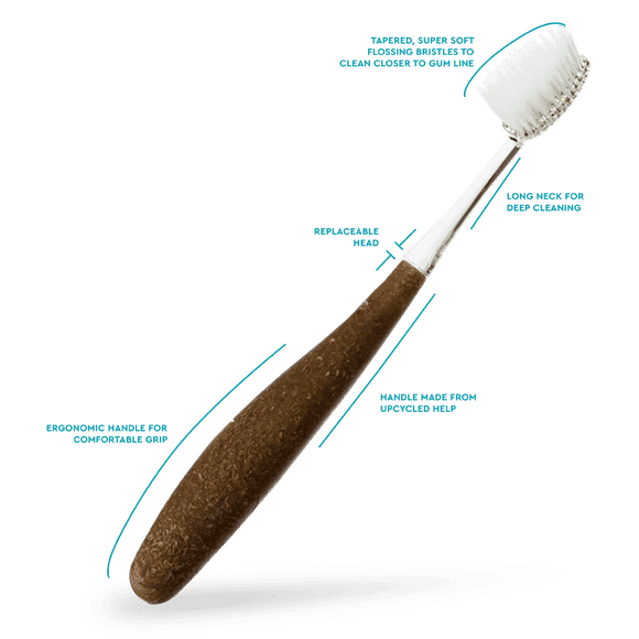 Explore End-Tuft Toothbrushes for Precise Oral Care at Walmart