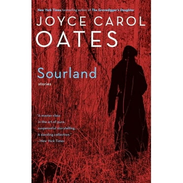 Big Mouth & Ugly Girl, (Paperback) - Walmart.com