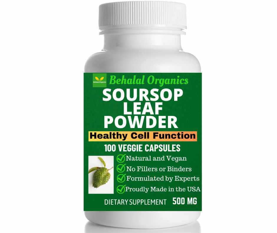 Soursop Graviola Capsules 500mg Pure Natural Soursop Capsules Leaves ...