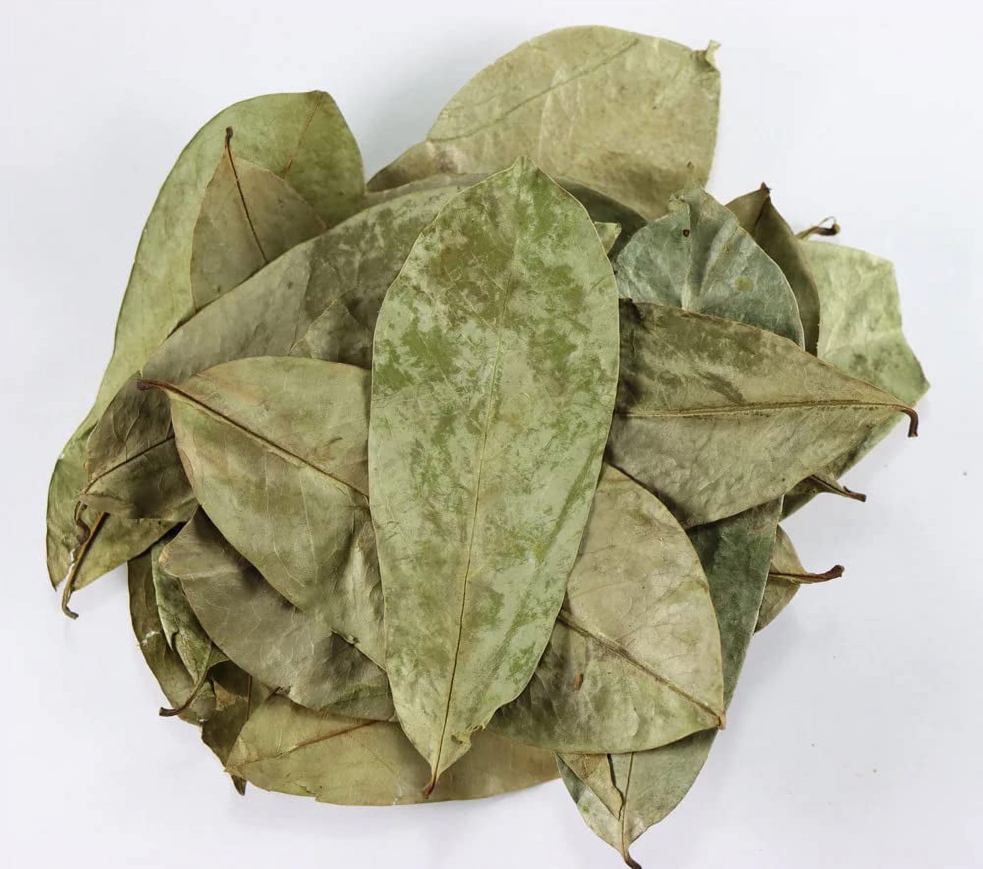 Soursop Leaf - 4 Ounce Dried Sour Sop Graviola Leaves - Soursop ...