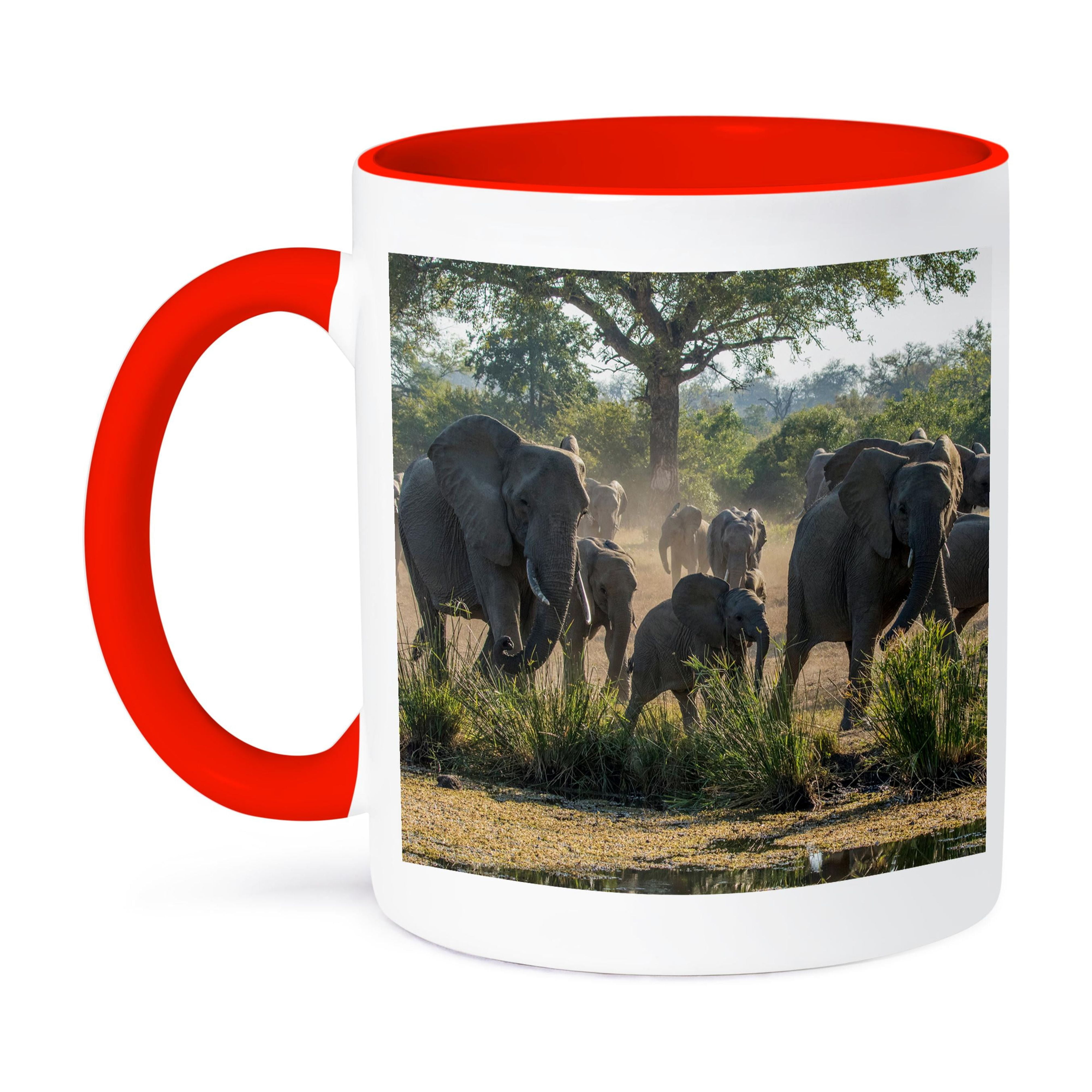 3dRose, South Africa, Sabi Sabi Private Game Reserve. Elephants running ...