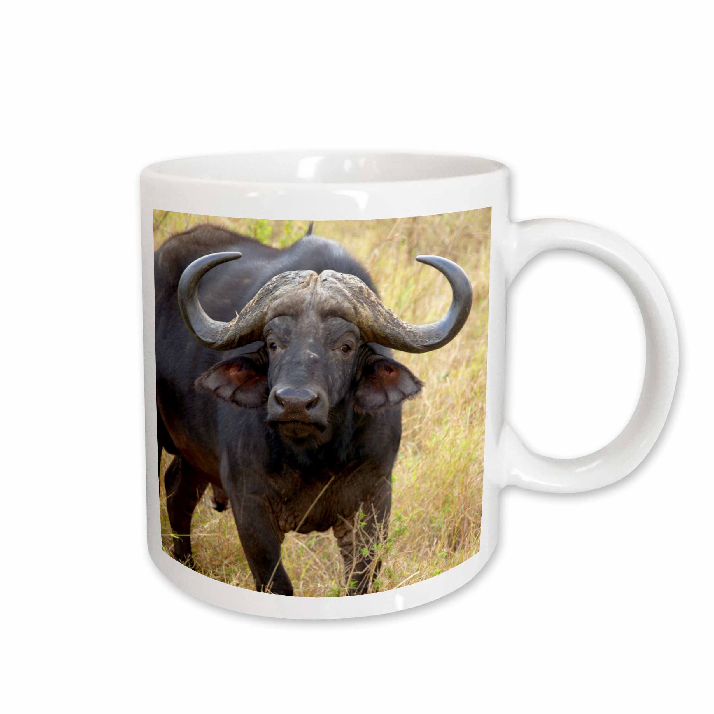 3dRose, South Africa, Zulu Nyala Game Reserve, Zebra-AF42 LEN0076 ...