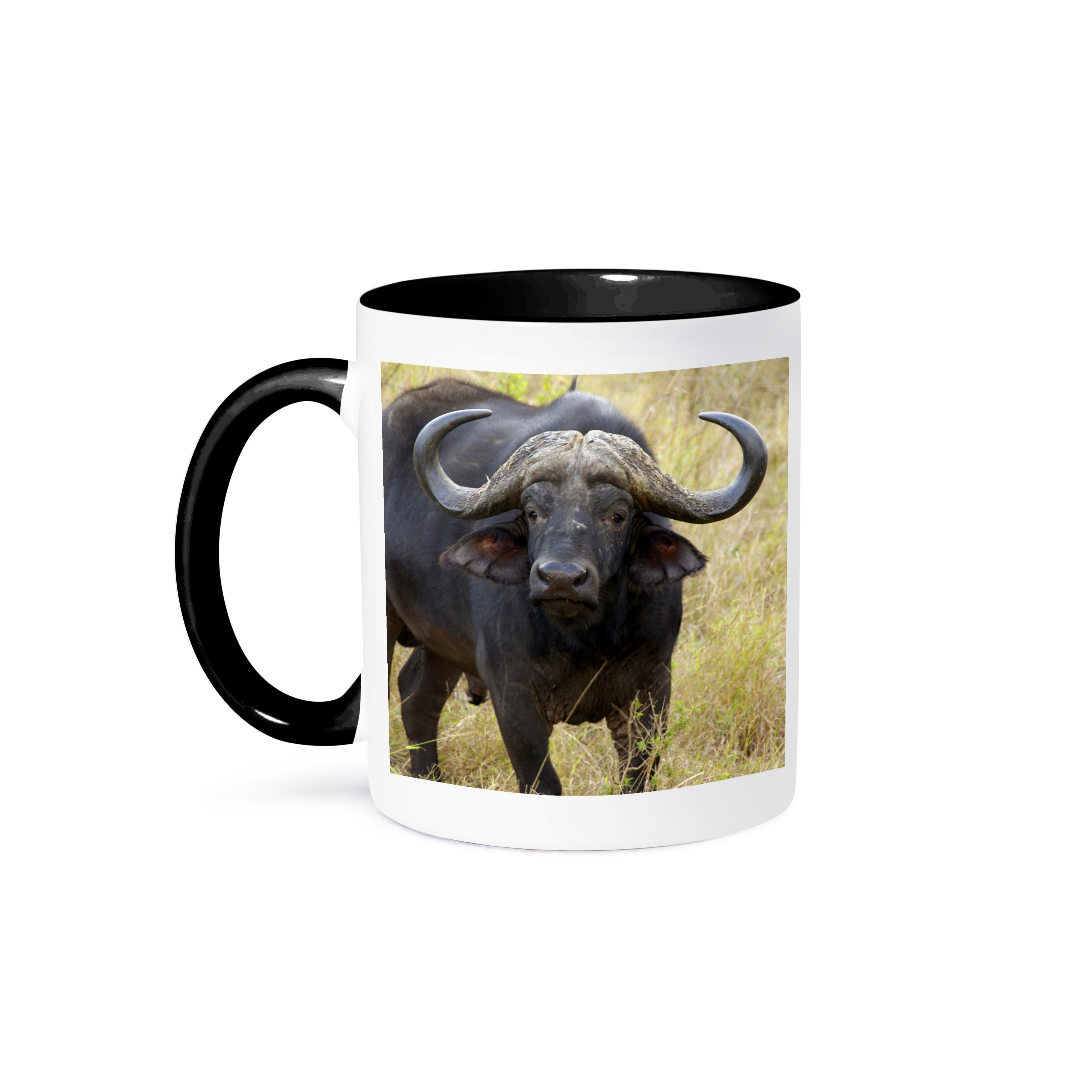 3dRose, South Africa, Zulu Nyala Game Reserve, Zebra-AF42 LEN0076 ...