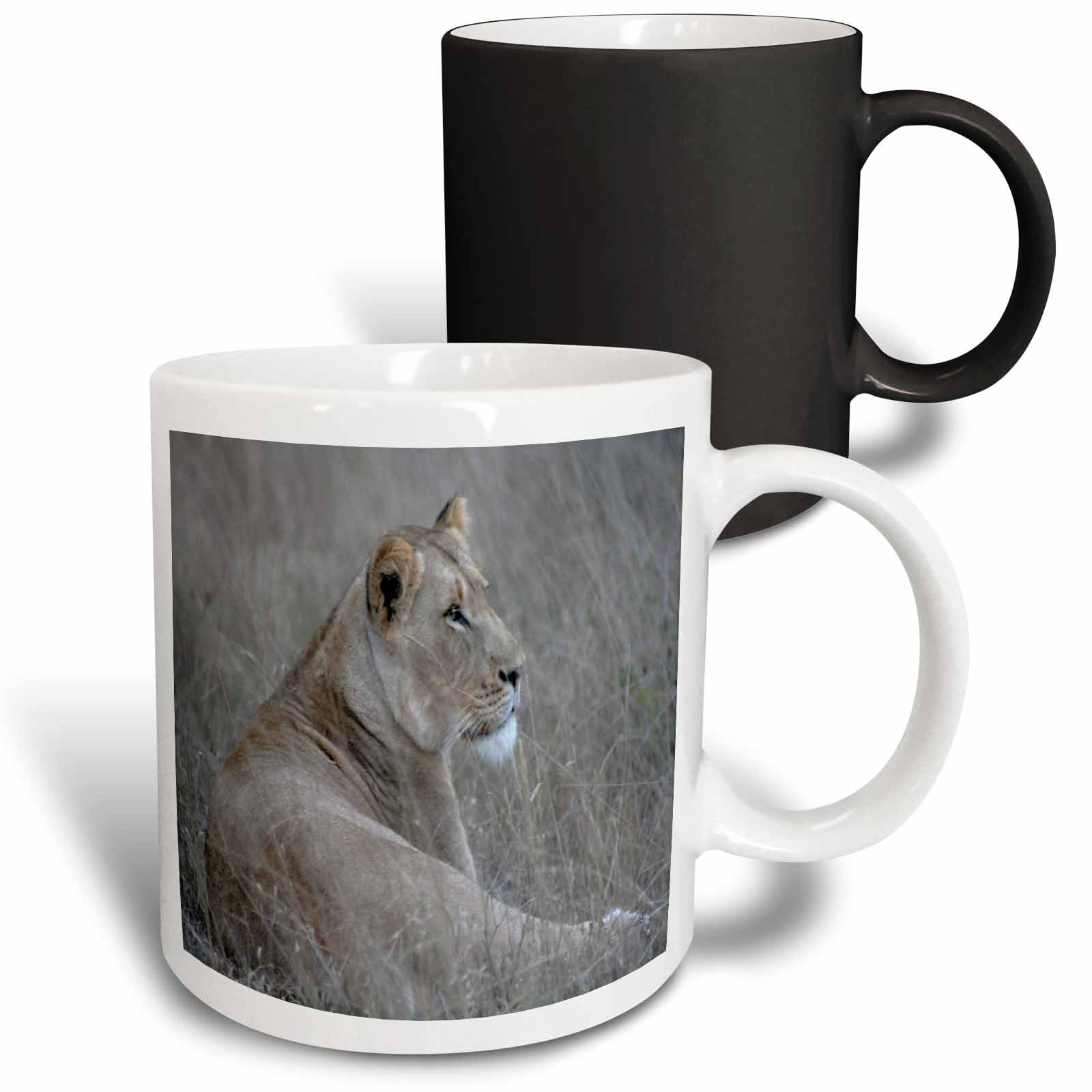 3drose, South African Lioness Laying in the Grass, 11oz Magic ...