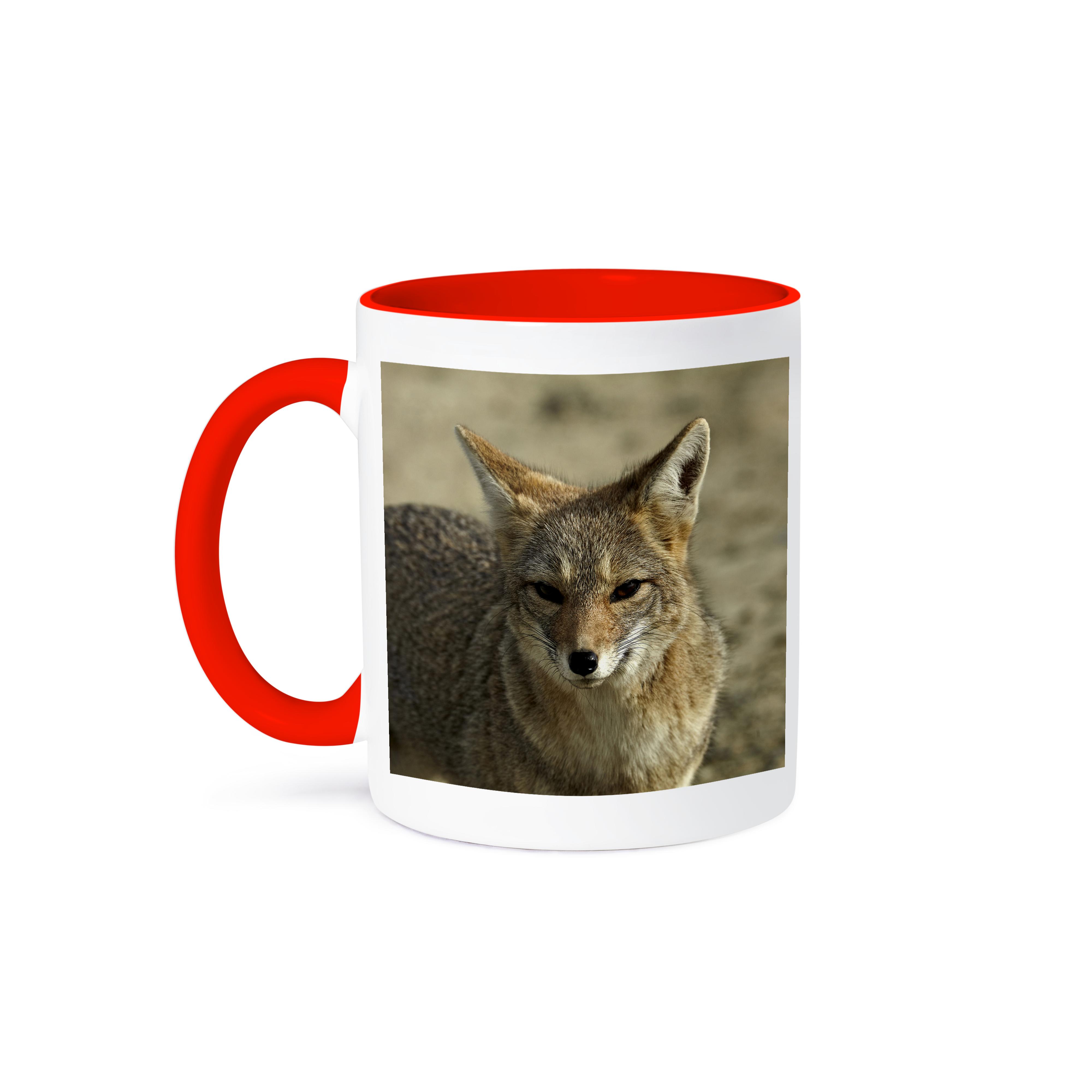 South American Gray Fox, Lycalopex Griseus, Patagonia, Argentina, 15oz ...