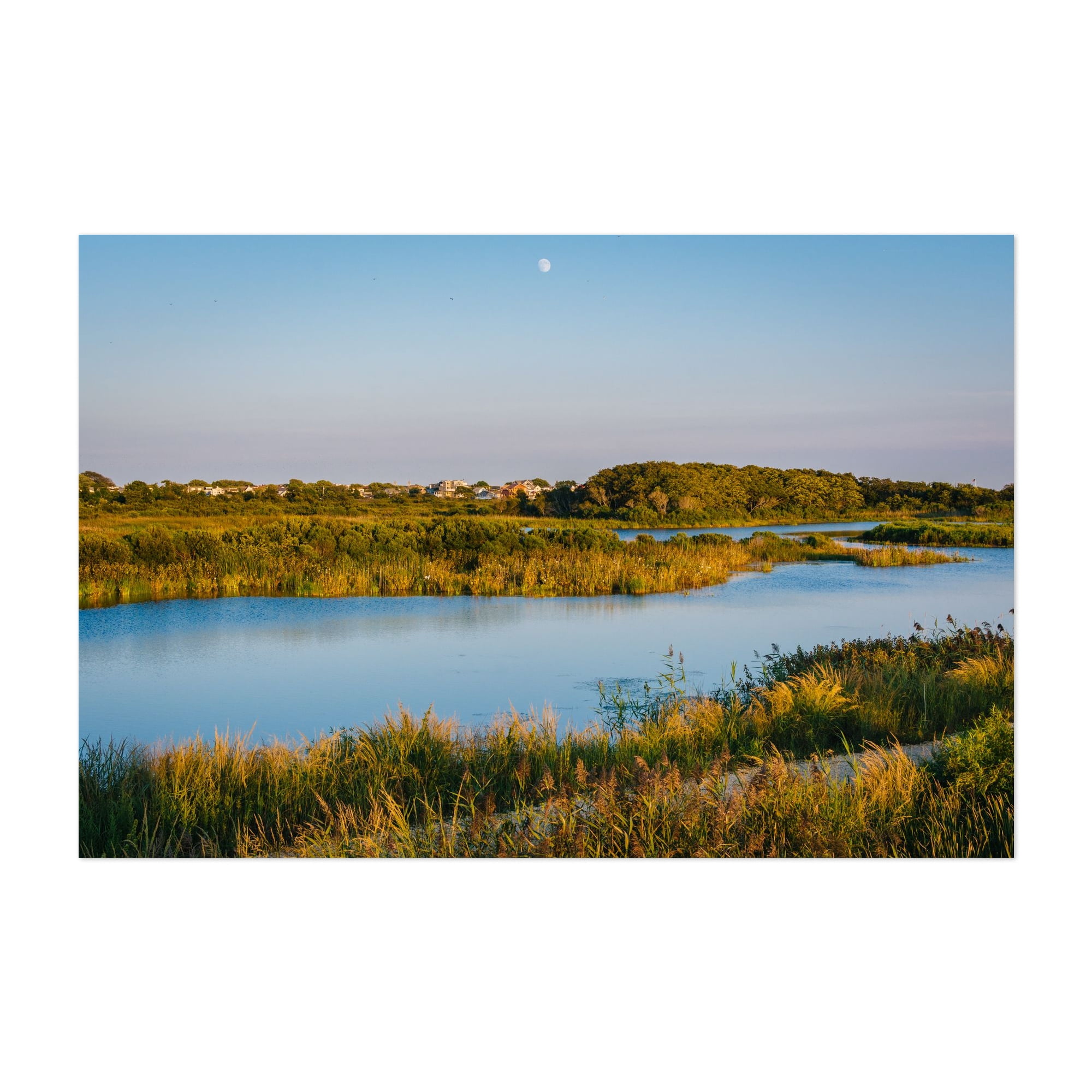 South Cape May Meadows - Cape May New Jersey Photography Landscape ...