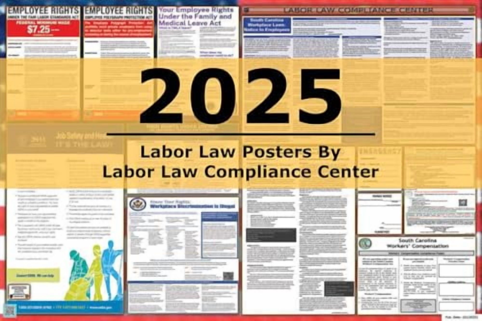 South Carolina / Federal Combination Labor Law Posters - Walmart.com