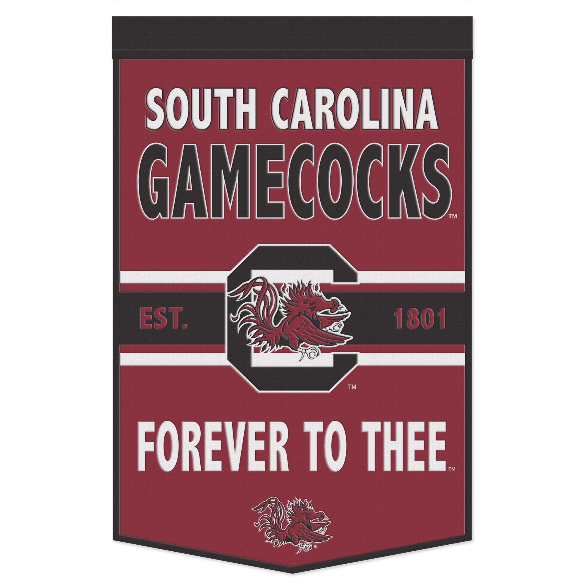 WinCraft South Carolina Gamecocks 24" x 38" Slogan Banner - Walmart.com