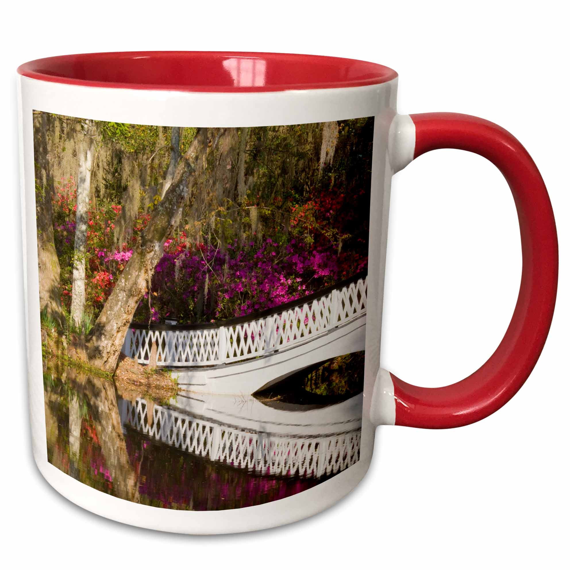 3drose, South Carolina, Magnolia Plantation Bridge, Garden - Us41 ...