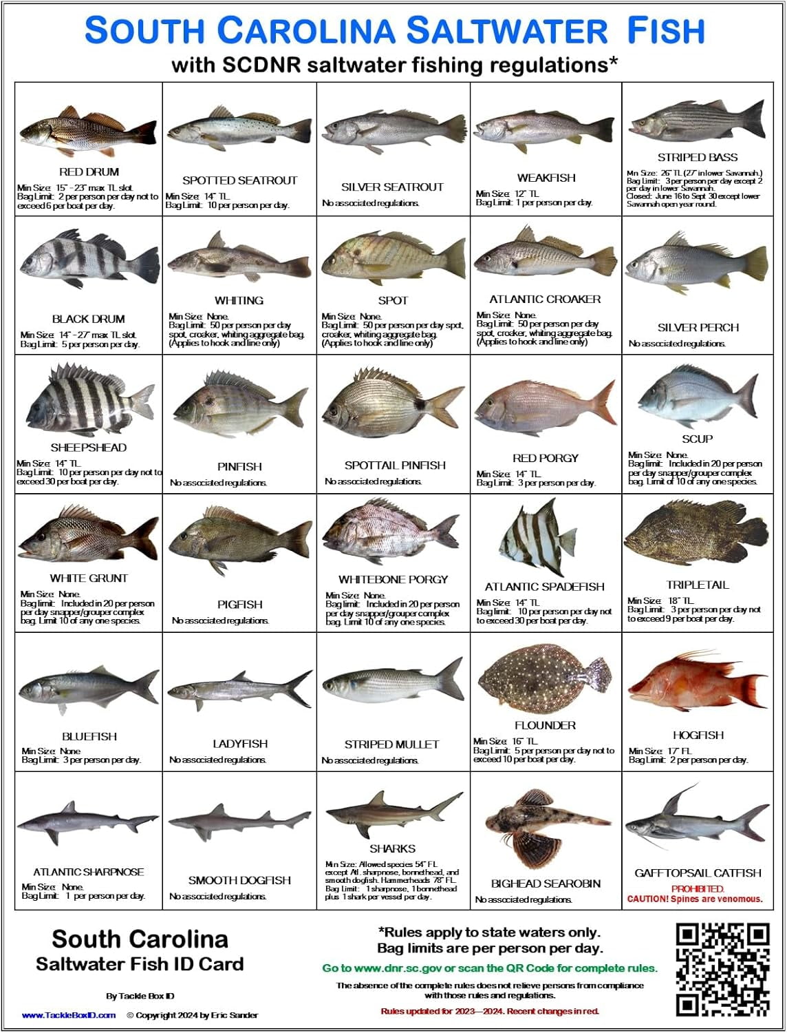 South Carolina Saltwater Fish Identification Card Set of 3 Waterproof ...