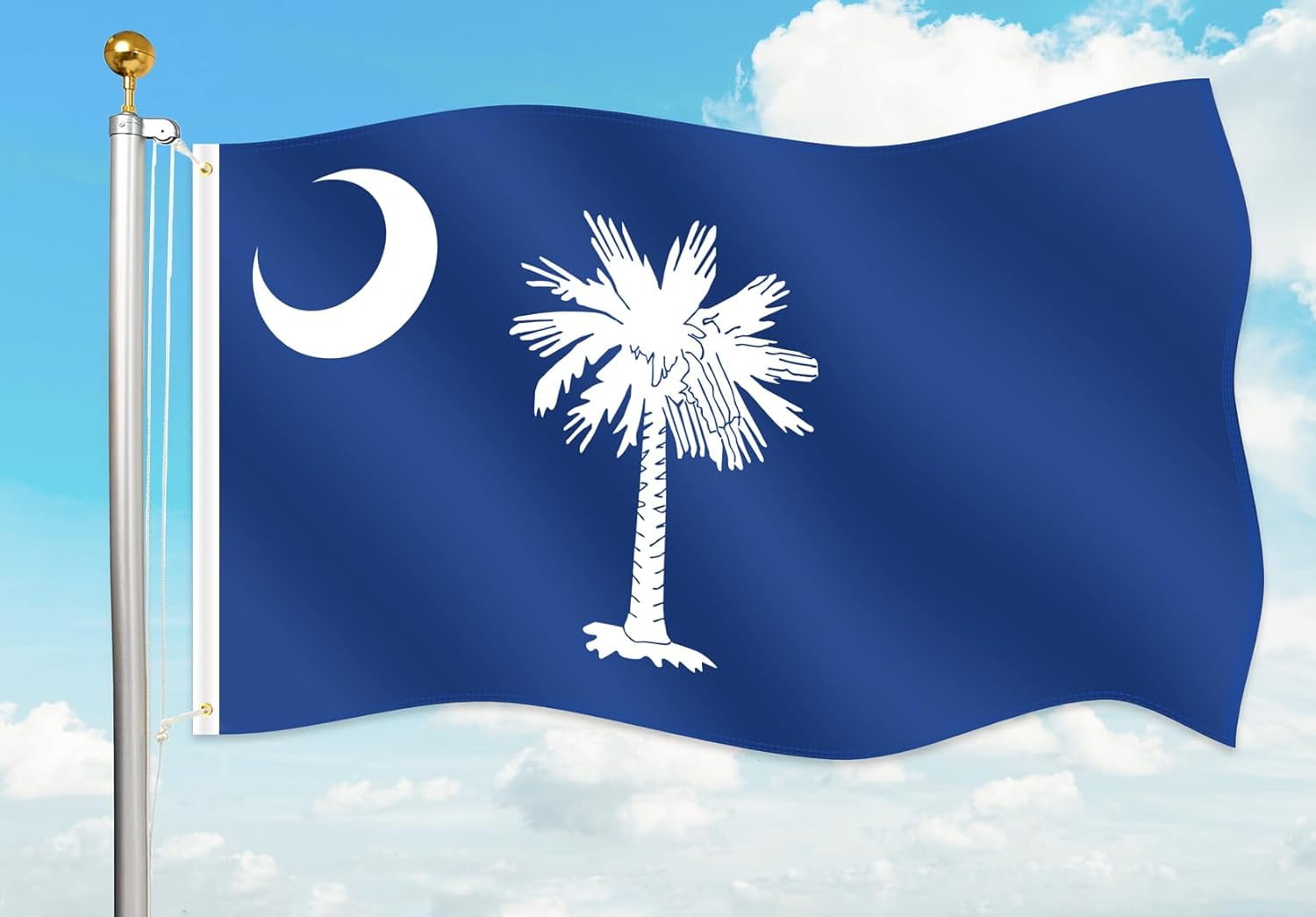 South Carolina State Flag - South Carolina flag outside/indoor,Double ...