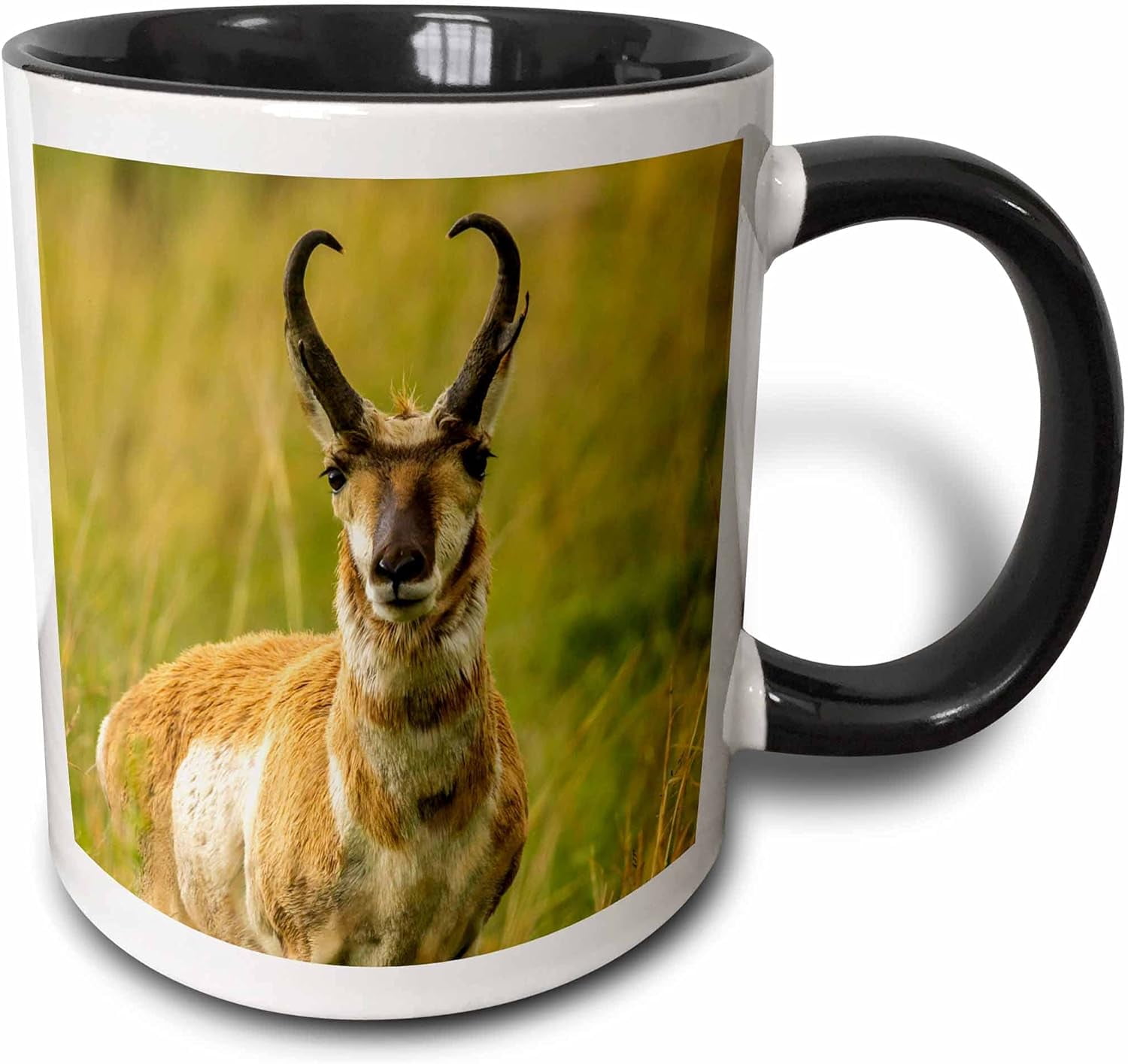 Coffee Mug, Size - 15oz - South Dakota, Custer State Park. Pronghorn ...