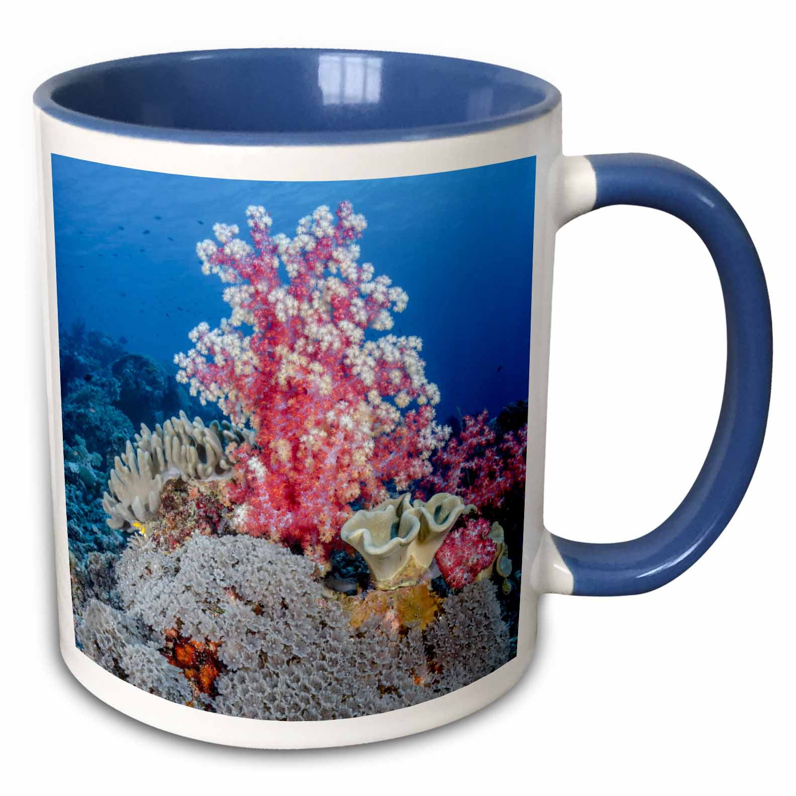 3drose, South Pacific, Solomon Islands. Reef of Corals., 15oz Two-tone ...