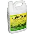 TeviRoom Southern Ag Chelated Liquid Iron, 1 Gallon, Corrects Iron ...