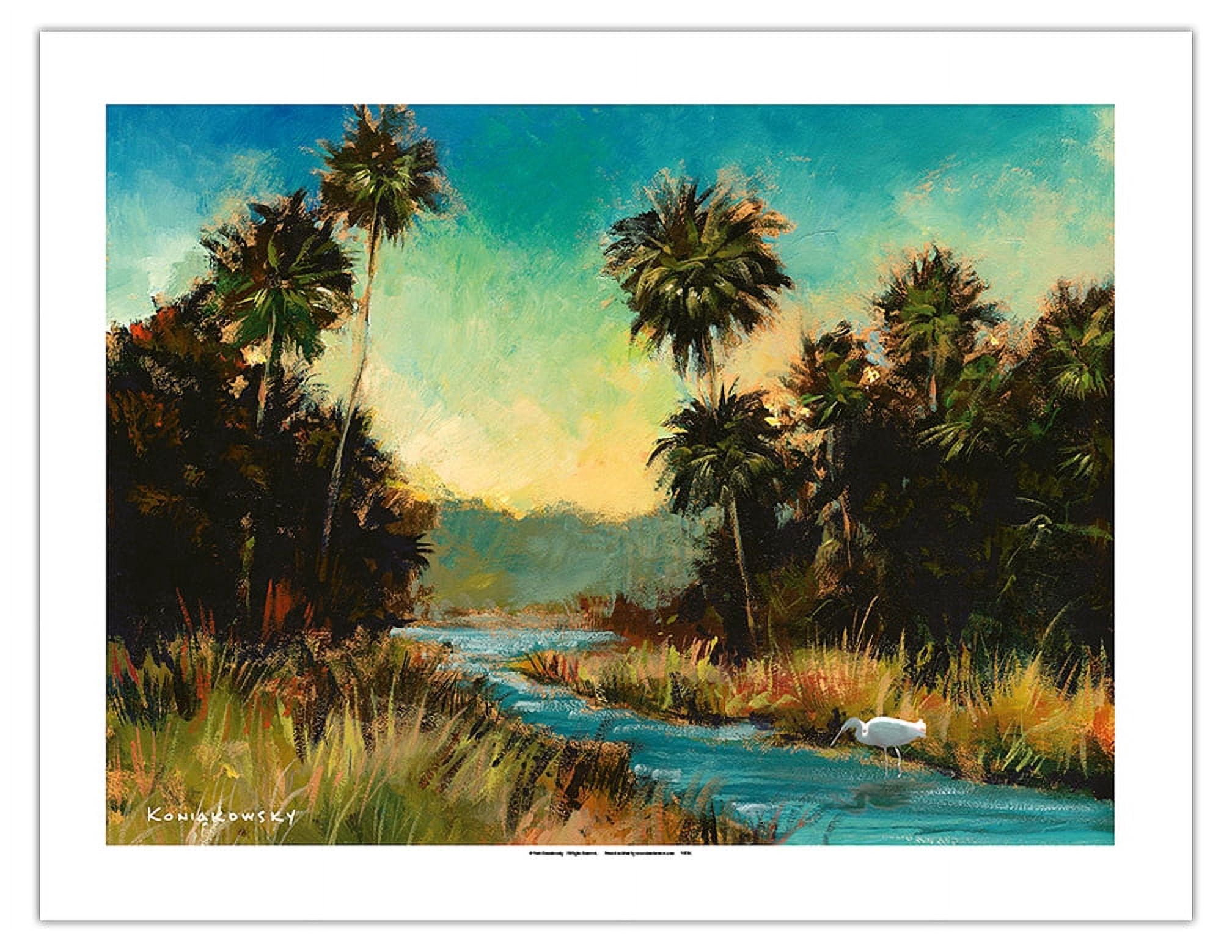Southern Florida Everglades - From an Original Color Painting by Wade ...