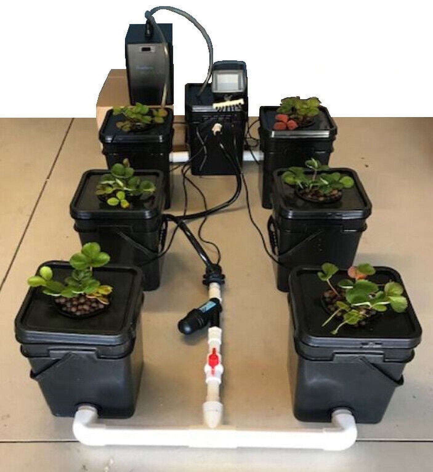 Southern Hydroponics Recirculating Deep Water Culture(RWDC) 1+6 Hydro ...