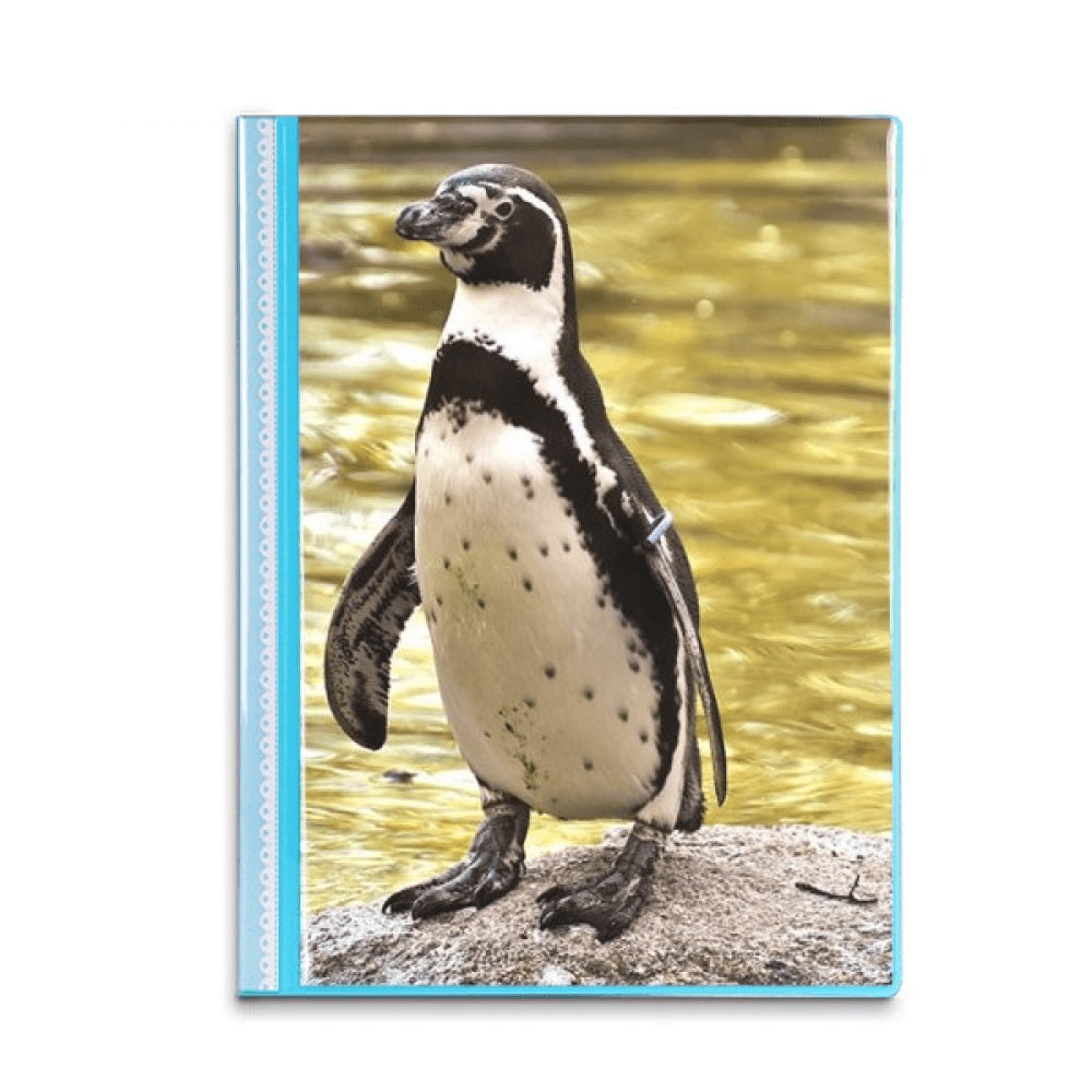 Southern Ocean Penguin Antarctic Science Nature Book Sheet Protectors ...