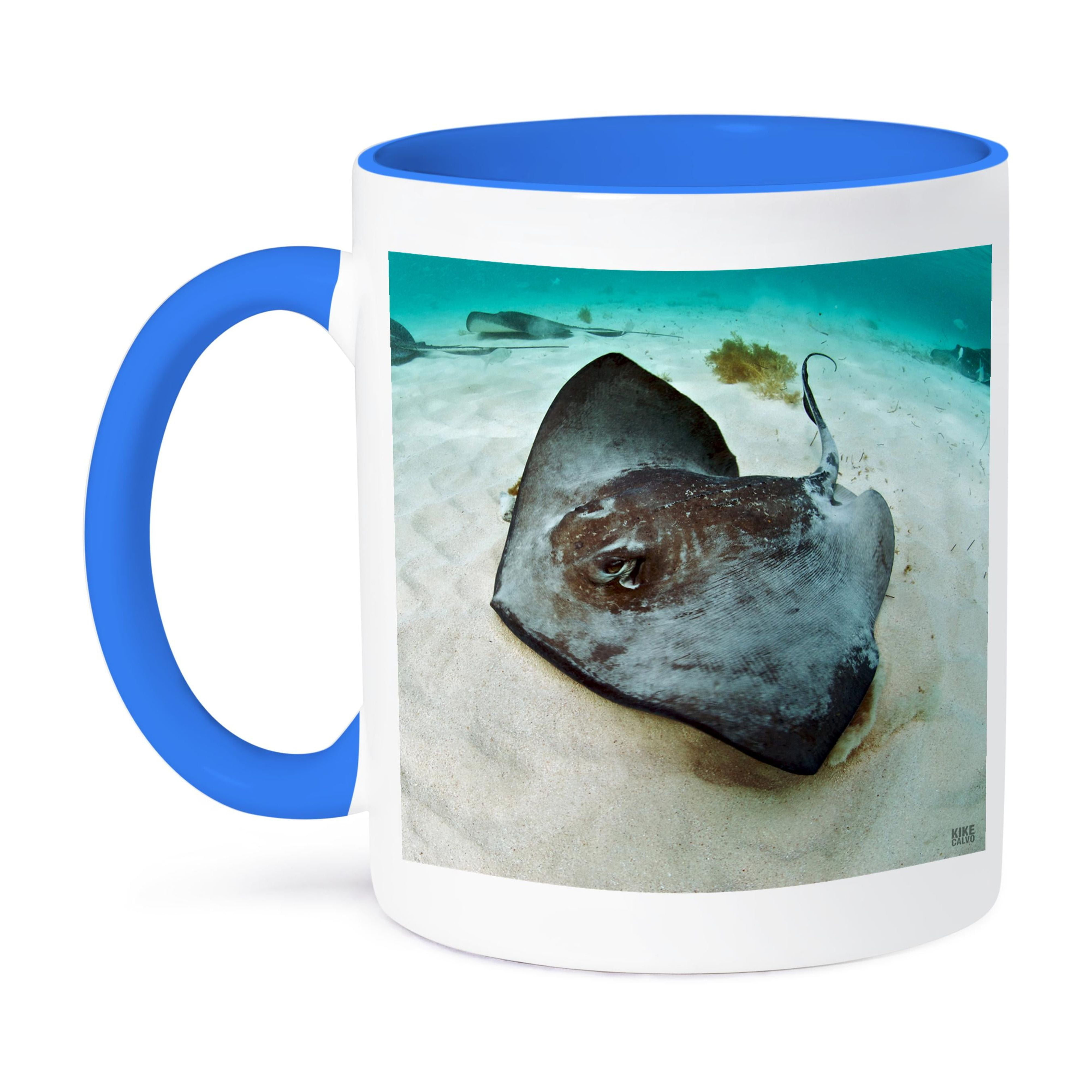 3dRose, Southern stingray (Dasyatis americana) in blue clean Caribbean ...