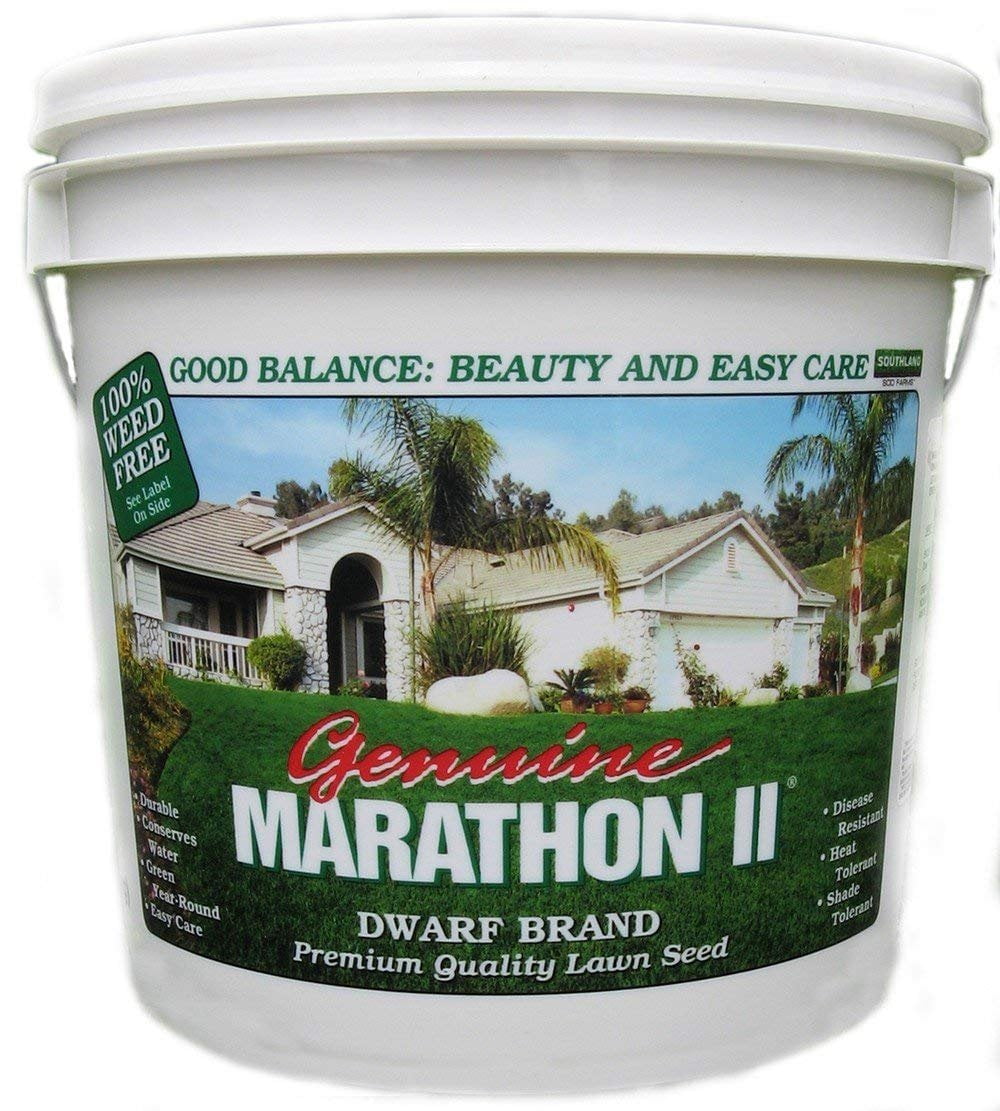 Southland Sod 4 Marathon II Dwarf Tall Fescue Lawn Grass Seed Mix, 5 ...