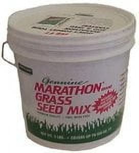 Southland Marathon I Grass Seed Mix, 5 Pounds, Lawn Grow Fast & Easy ...