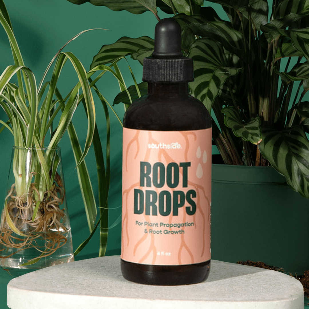 Southside Plants Root Drops - Walmart Business Supplies