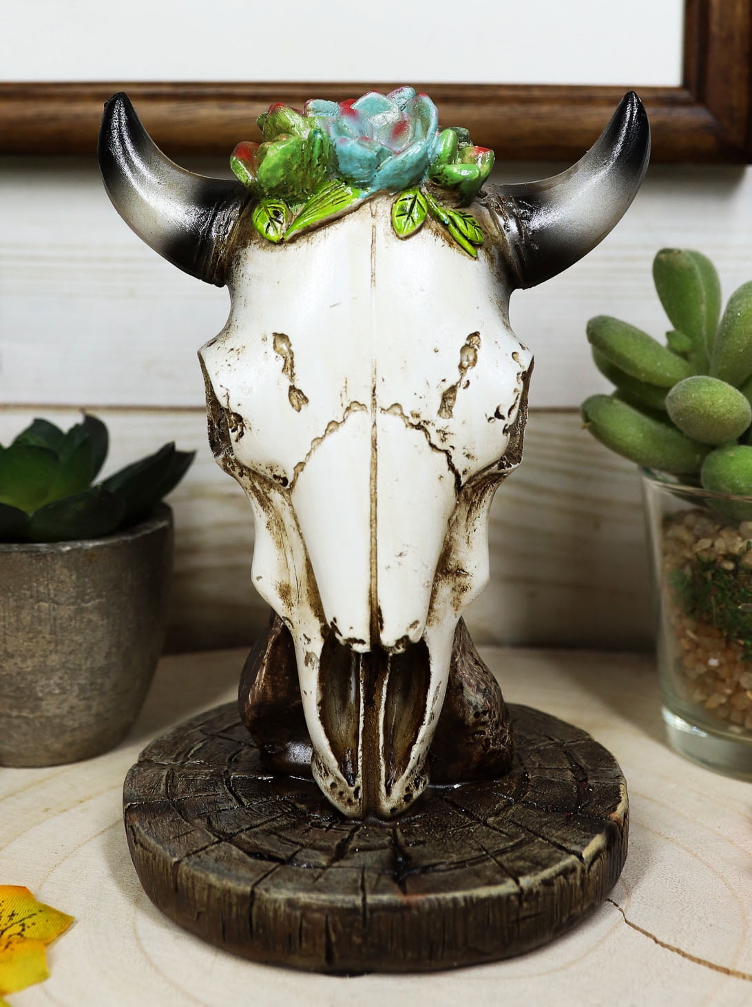 Southwest Aged Bone Bull Cow Steer Head Skull With Floral Succulents ...