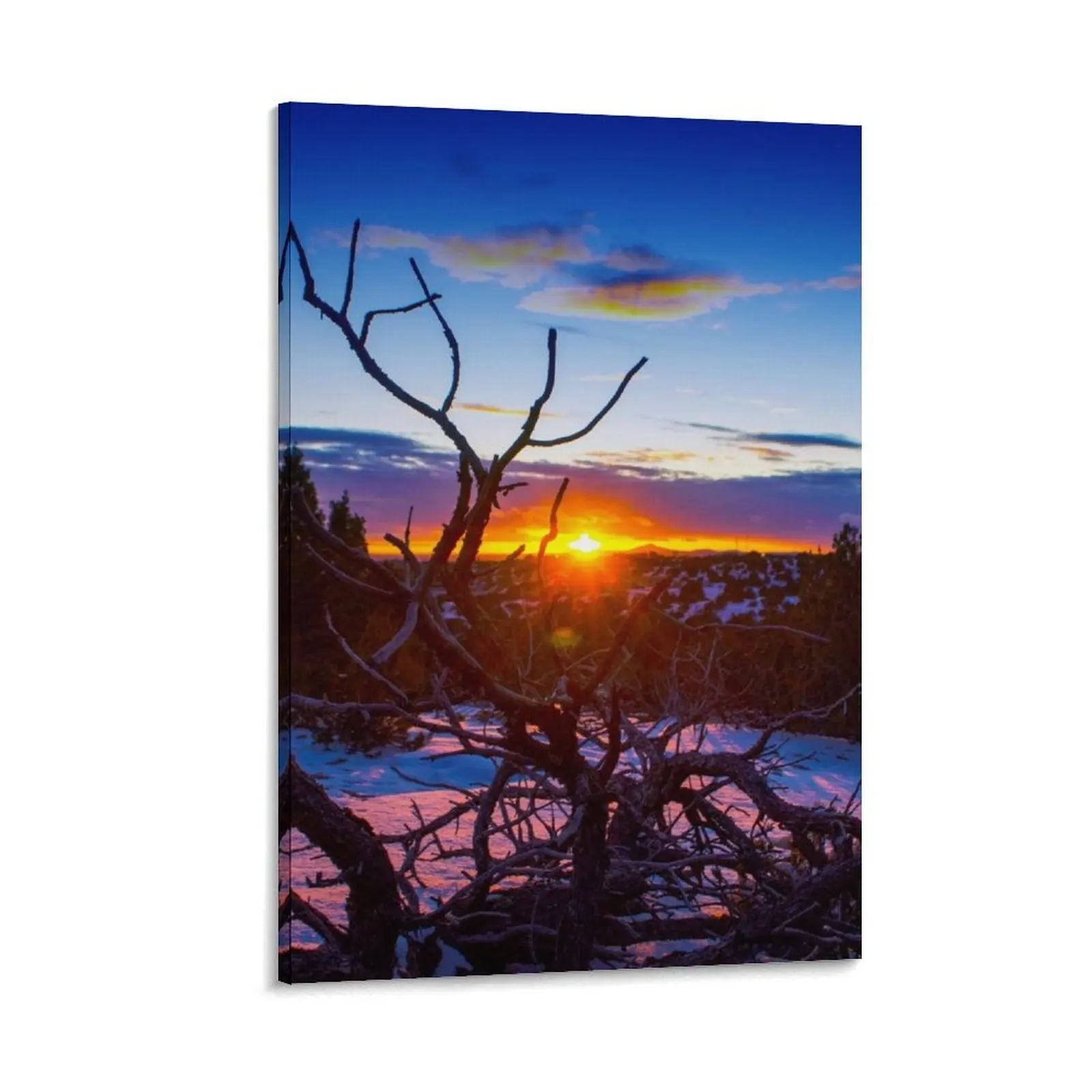 Southwestern Sunset Through Dead Juniper Skeleton Canvas Painting ...