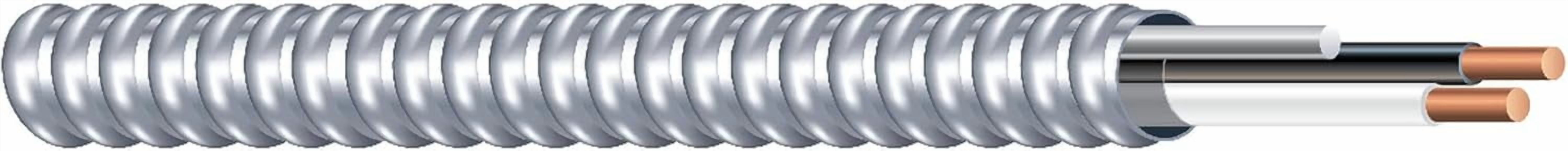 Southwire 68580022 50-Foot 12-Gauge 2-Conductor Type MC Conduit ...