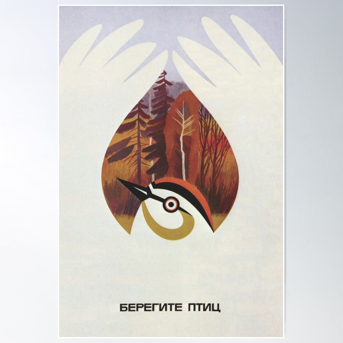 Soviet Ussr Birds And Environment Poster "Save The Birds" Poster Wall ...