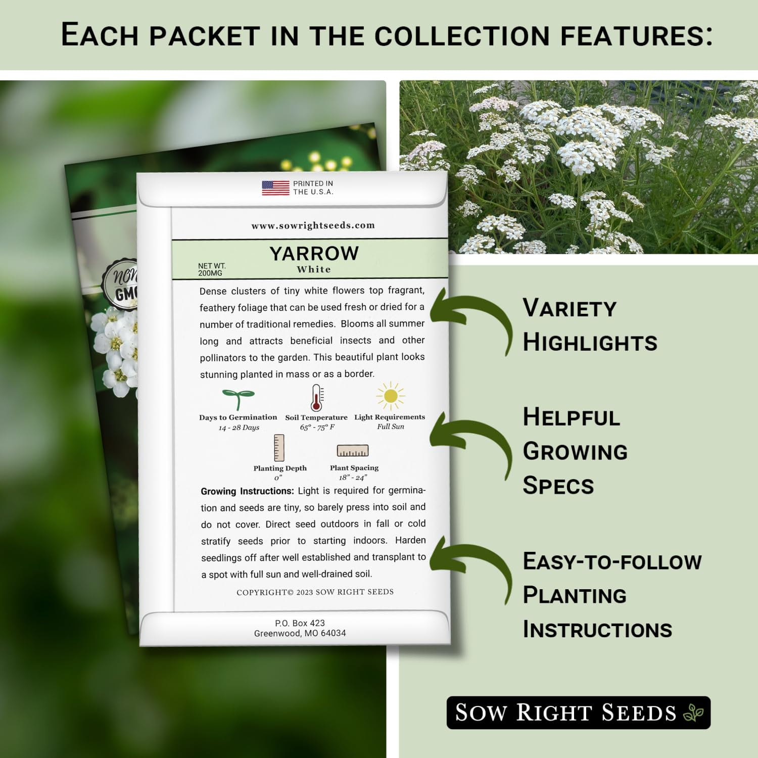 Sow Right - Common White, Gold H2FSD& Red for Planting - Non-GMO ...