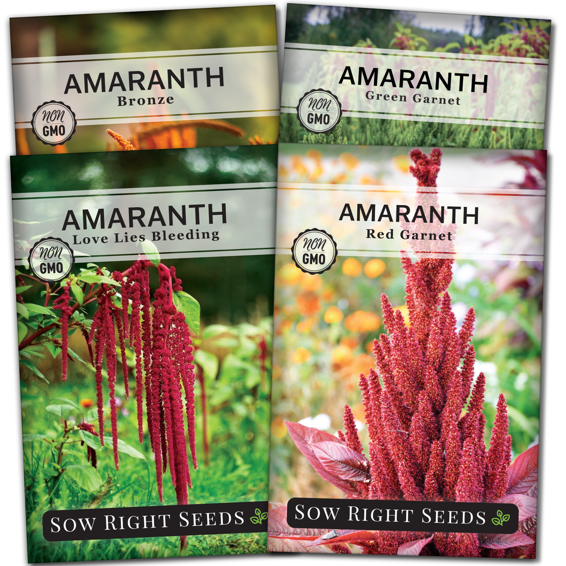 Sow Right Seeds - Amaranth Seed Collection - Non-GMO Heirloom Amaranth ...
