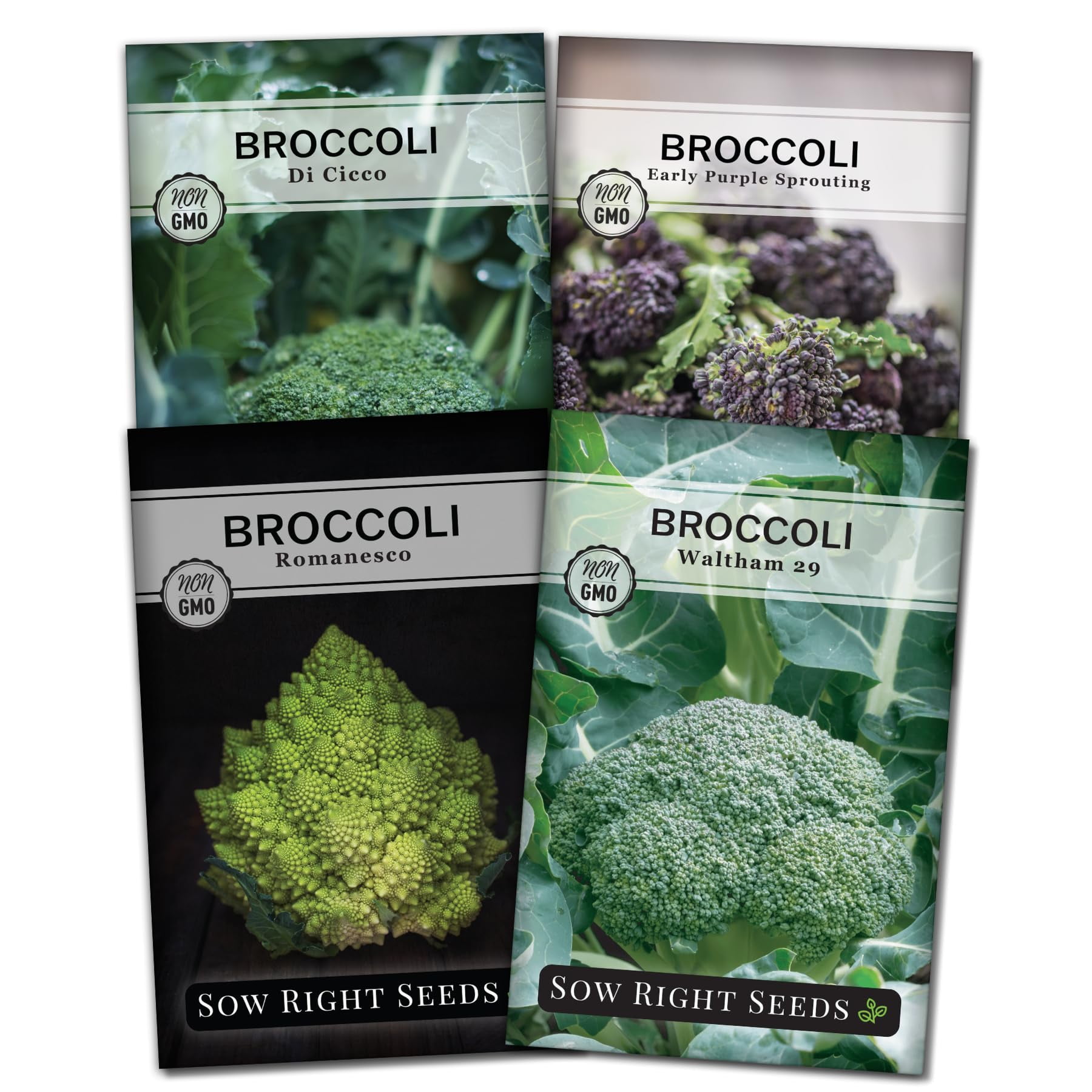 Sow Right Seeds - Broccoli Seed Collection MHD1for Planting - Packets ...