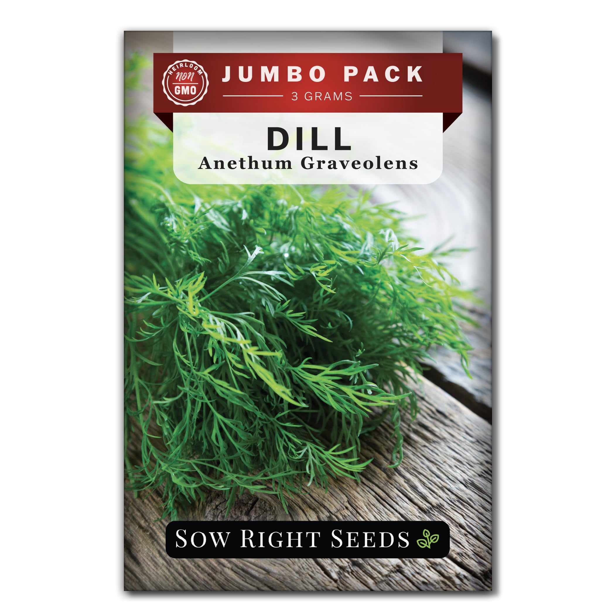 Sow Right Seeds - Bulk Bouquet Dill MHD1Seeds for 3 Grams, 1000 Seeds ...