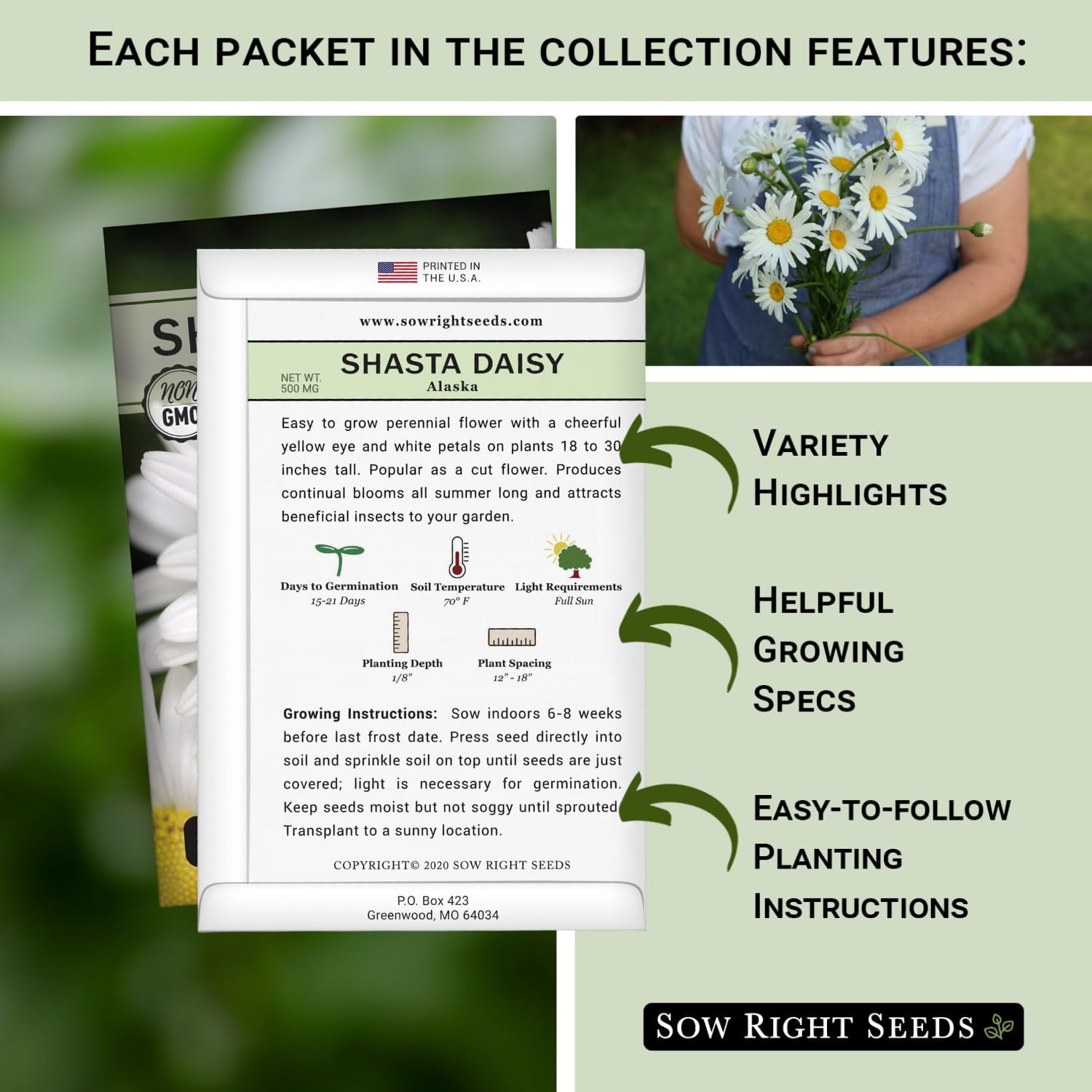 Sow Right Seeds FEV6 - Daisy Flower Seed Collection Attract Pollinators ...