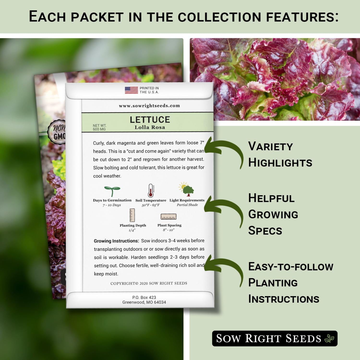 Sow Right Seeds FEV6 - Lettuce Seed Collection for Buttercrunch, Giant ...