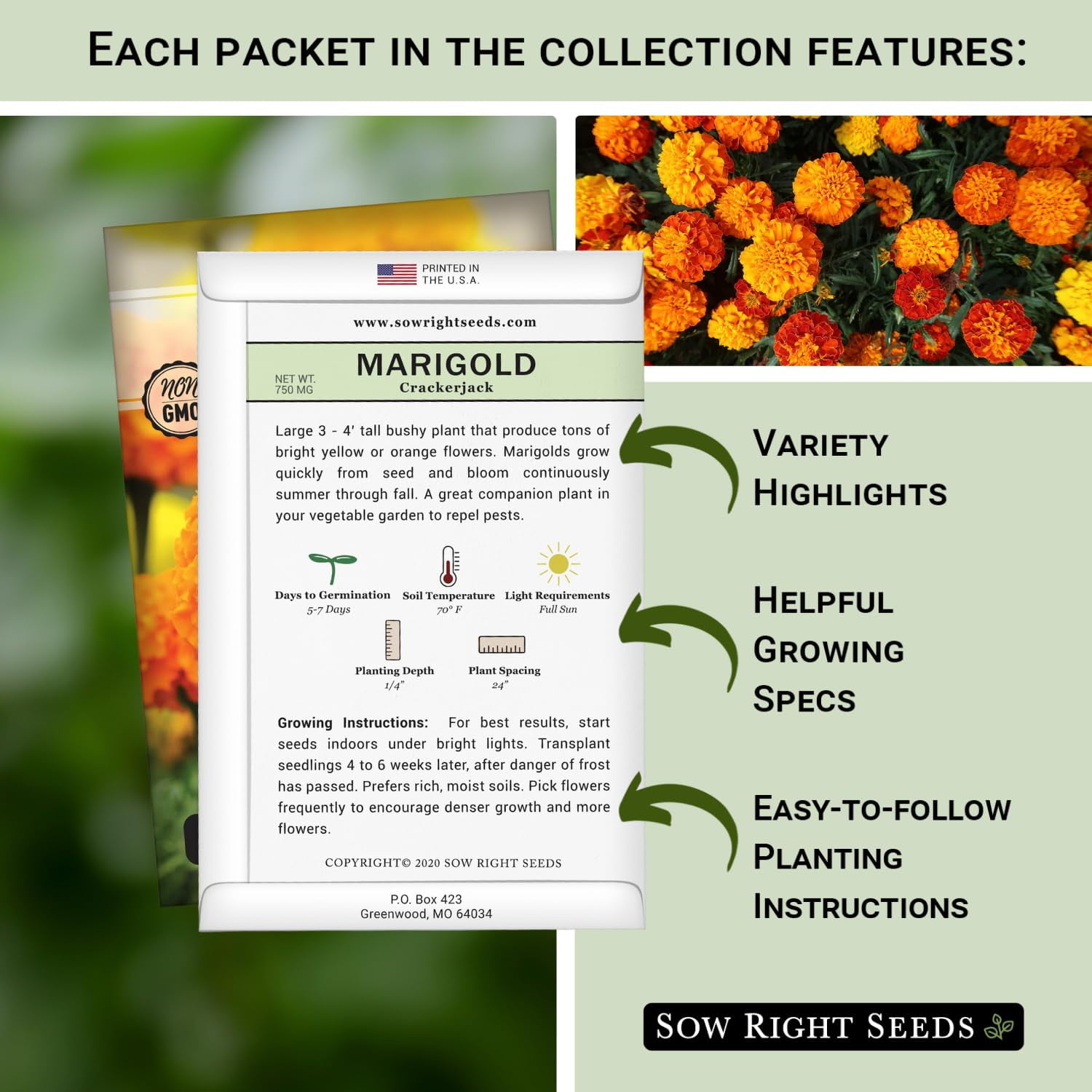 Sow Right Seeds FEV6 - Marigold Collection Flower Seeds Non-GMO Heirloom Packet with ...