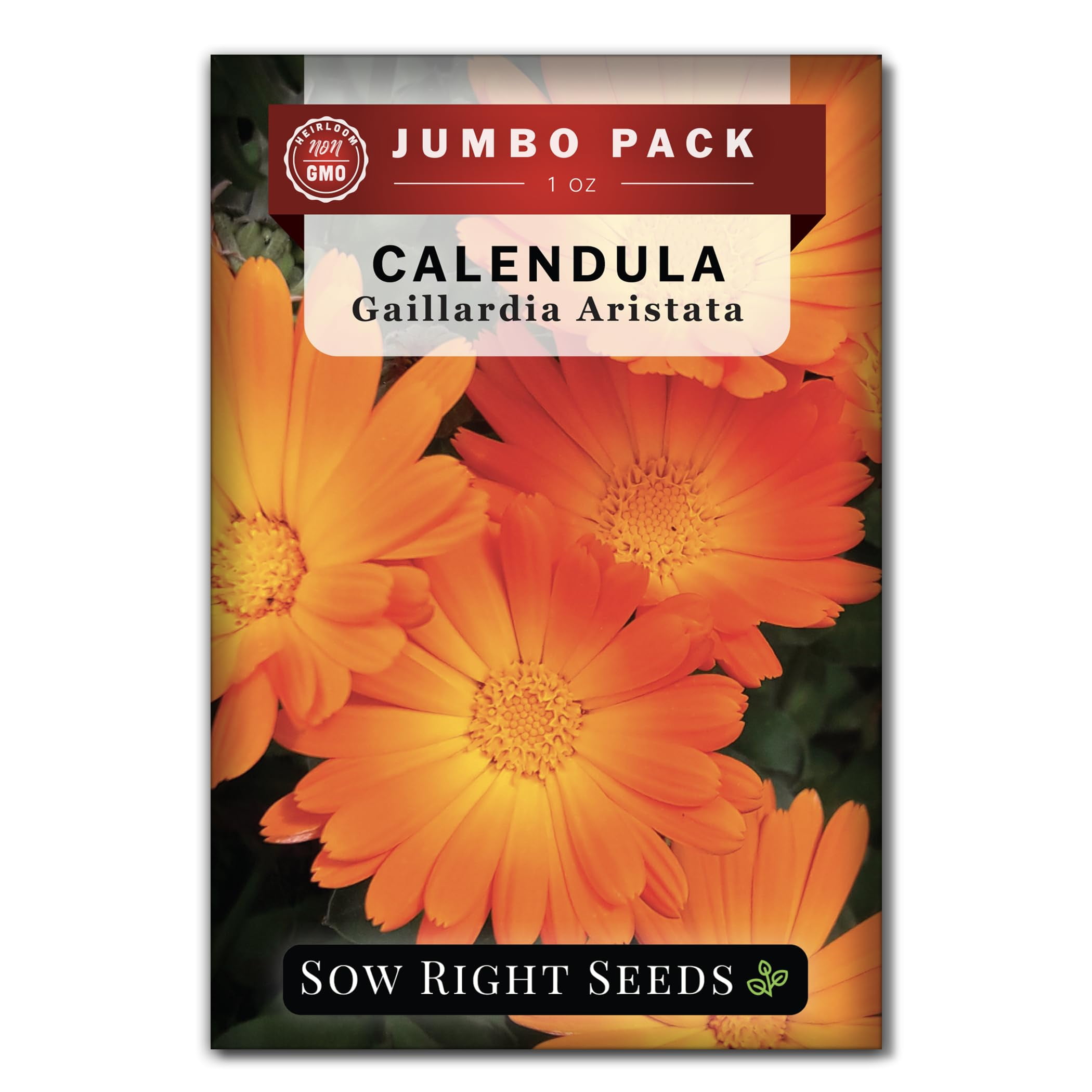 Palm Beach Medicinal FEV6 Herbs - Red Roselle (Hibiscus sabdariffa ...