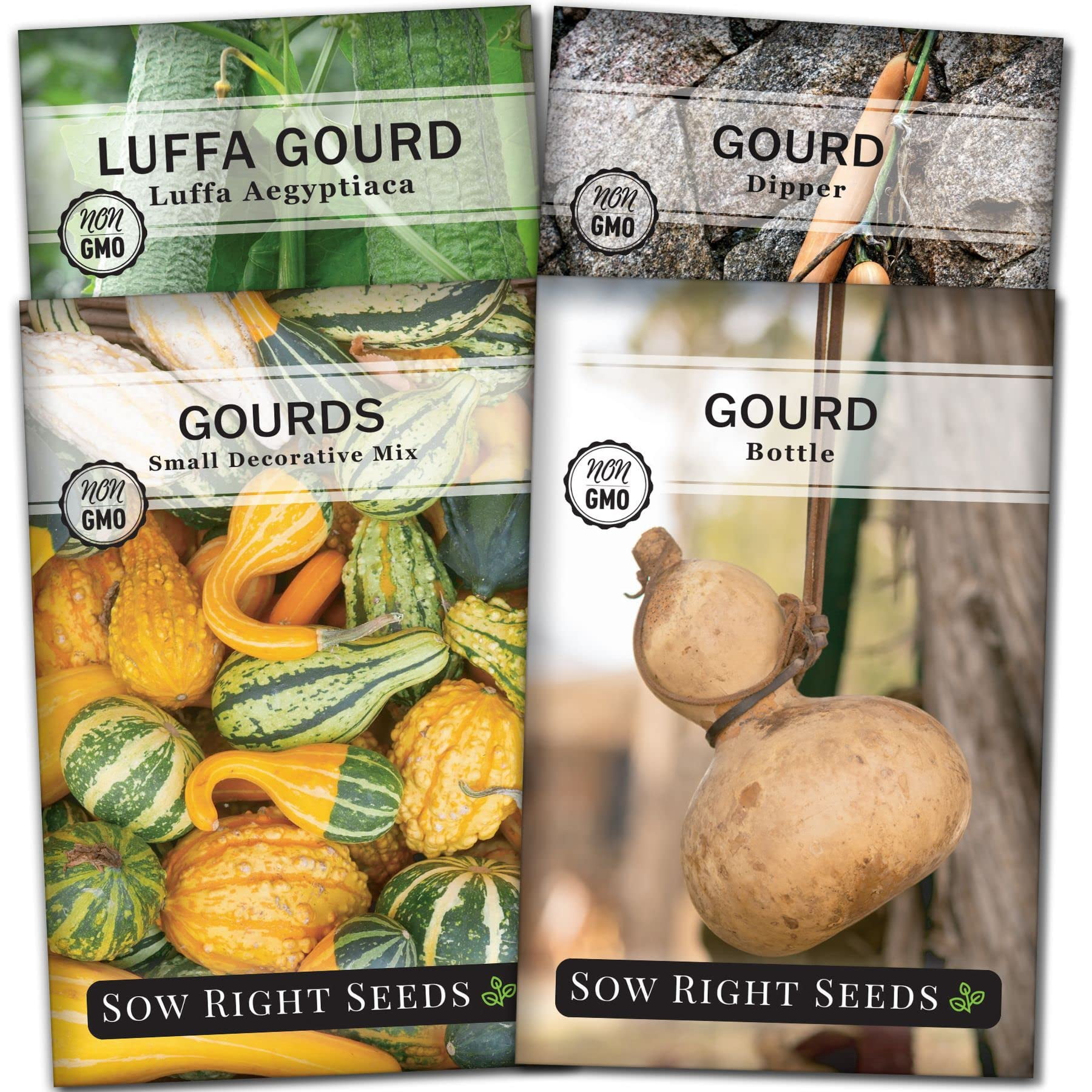 Sow Right Seeds - Gourd Seed Collection MHD1for Planting - of ...