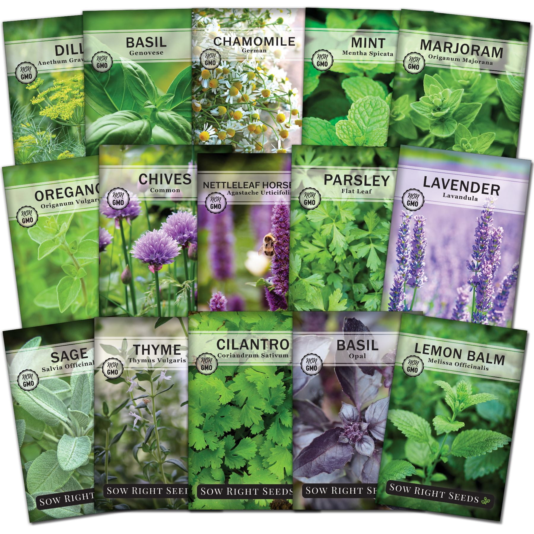 Sow Right Seeds Herb Live Plant (15 Count), Non GMO - Walmart.com