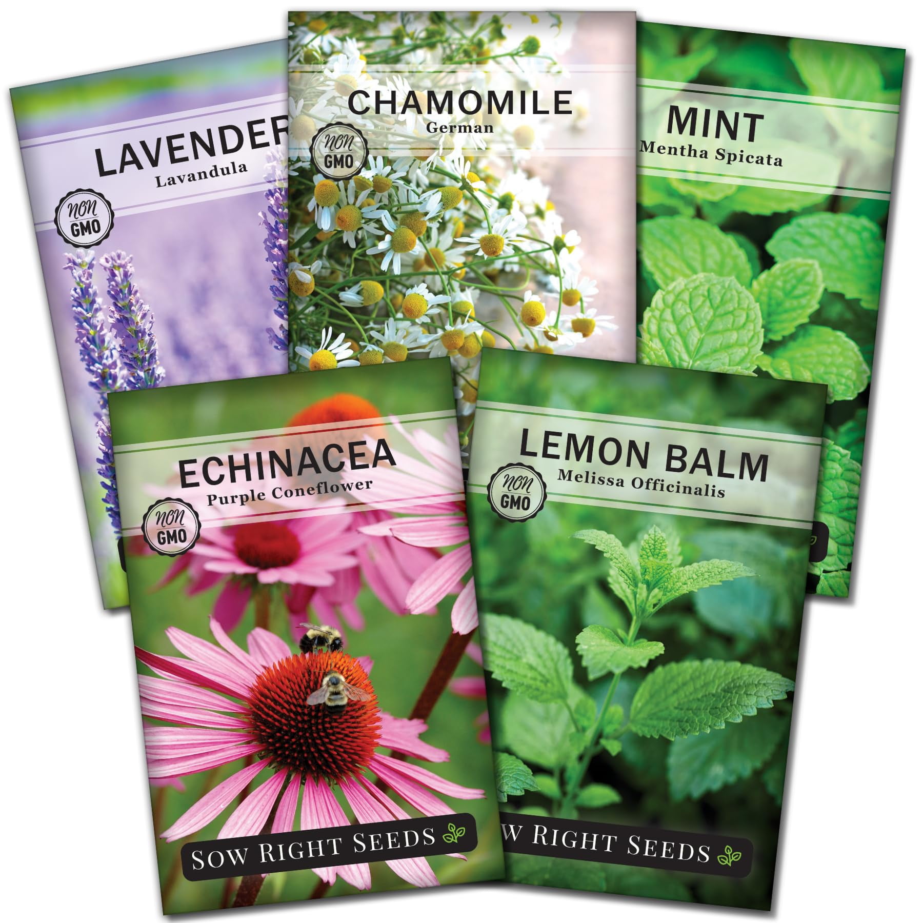 Sow Right Seeds - Herbal Tea Collection MHD1- Lemon Chamomile, Mint ...