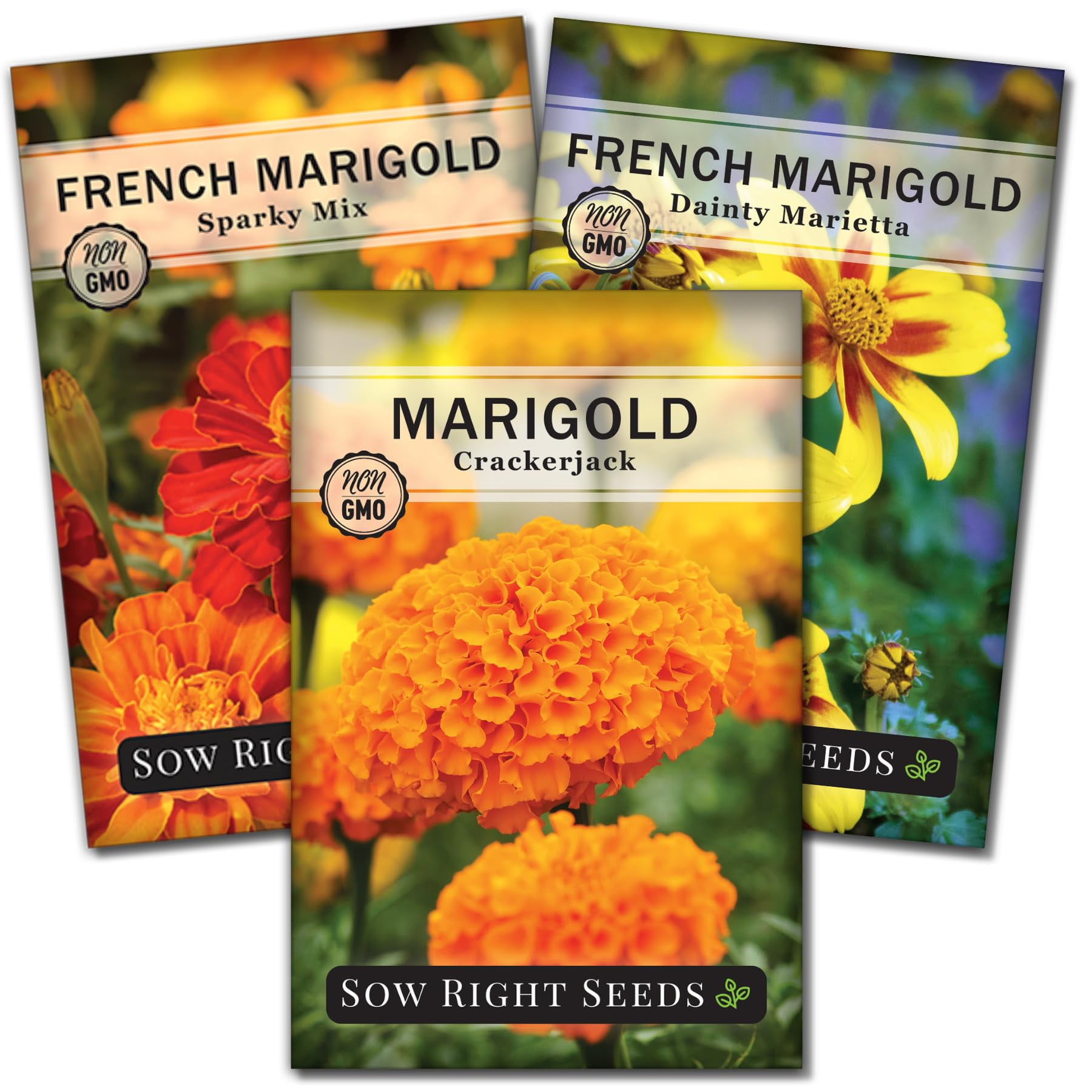 Sow Right Seeds - Marigold Collection Flower MHD1Seeds for Non-GMO ...