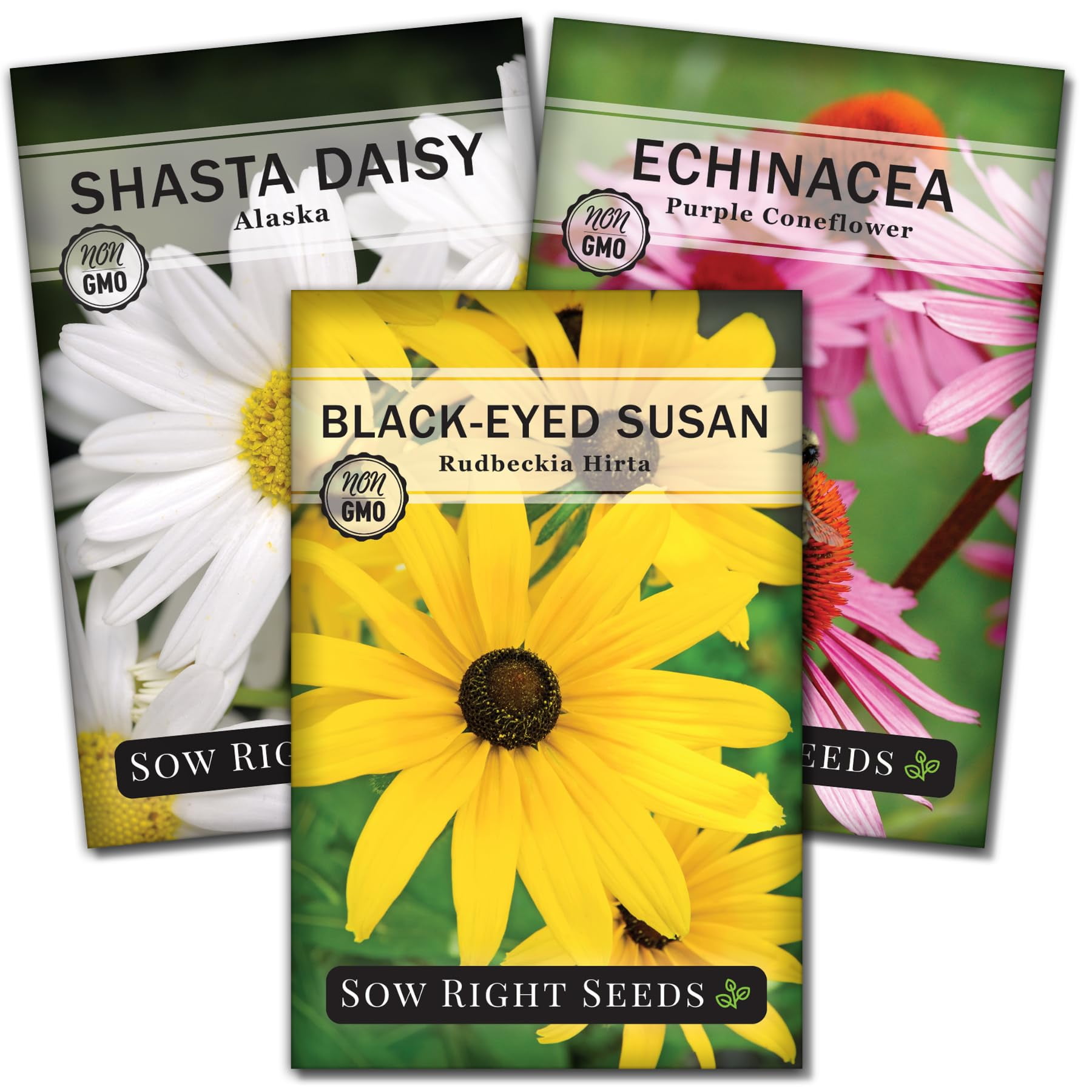 Sow Right Seeds - Perennial Three Flower MHD1Garden Seed for Planting ...