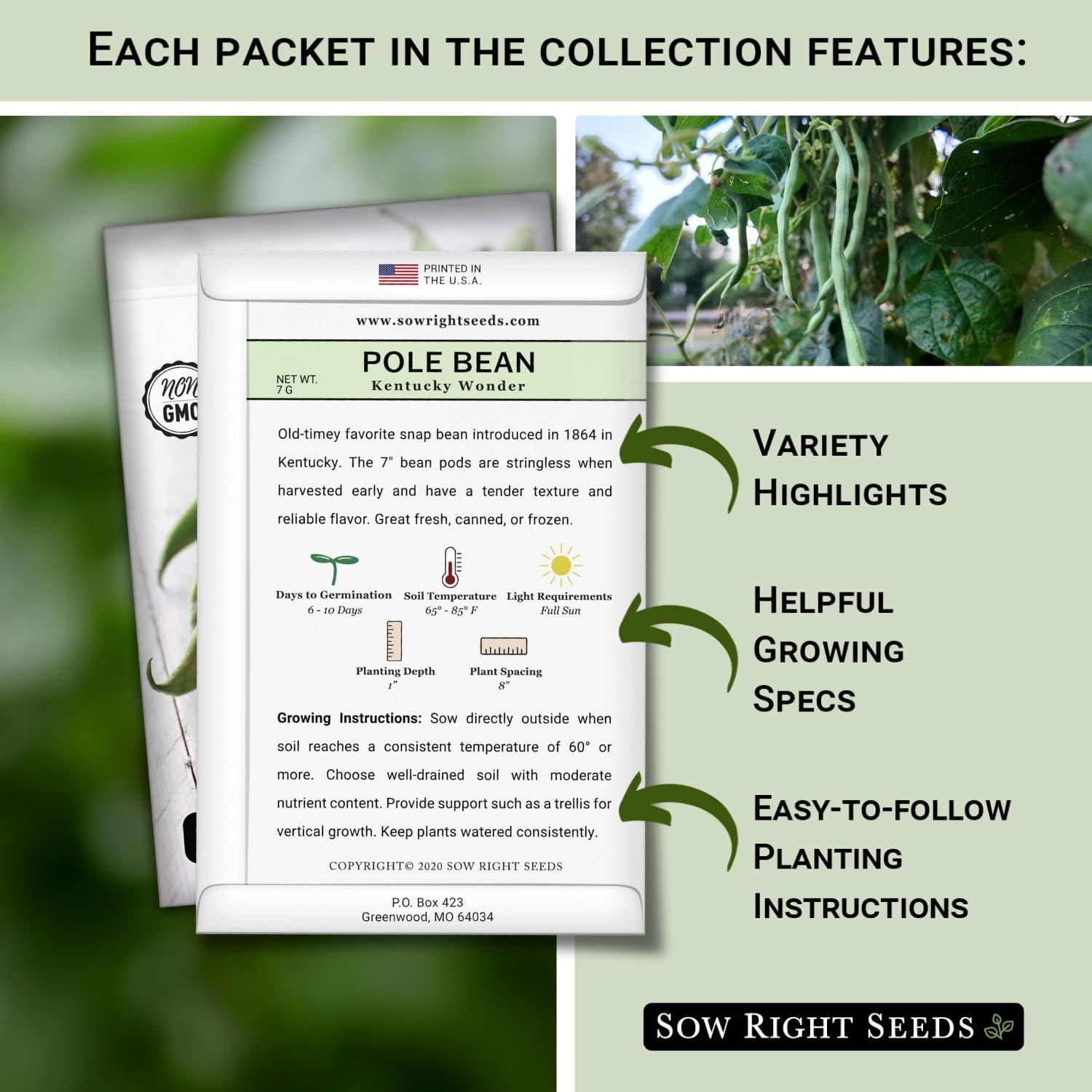 Sow Right Seeds - Pole Bean Seed H2FSDCollection for Individual Packets ...