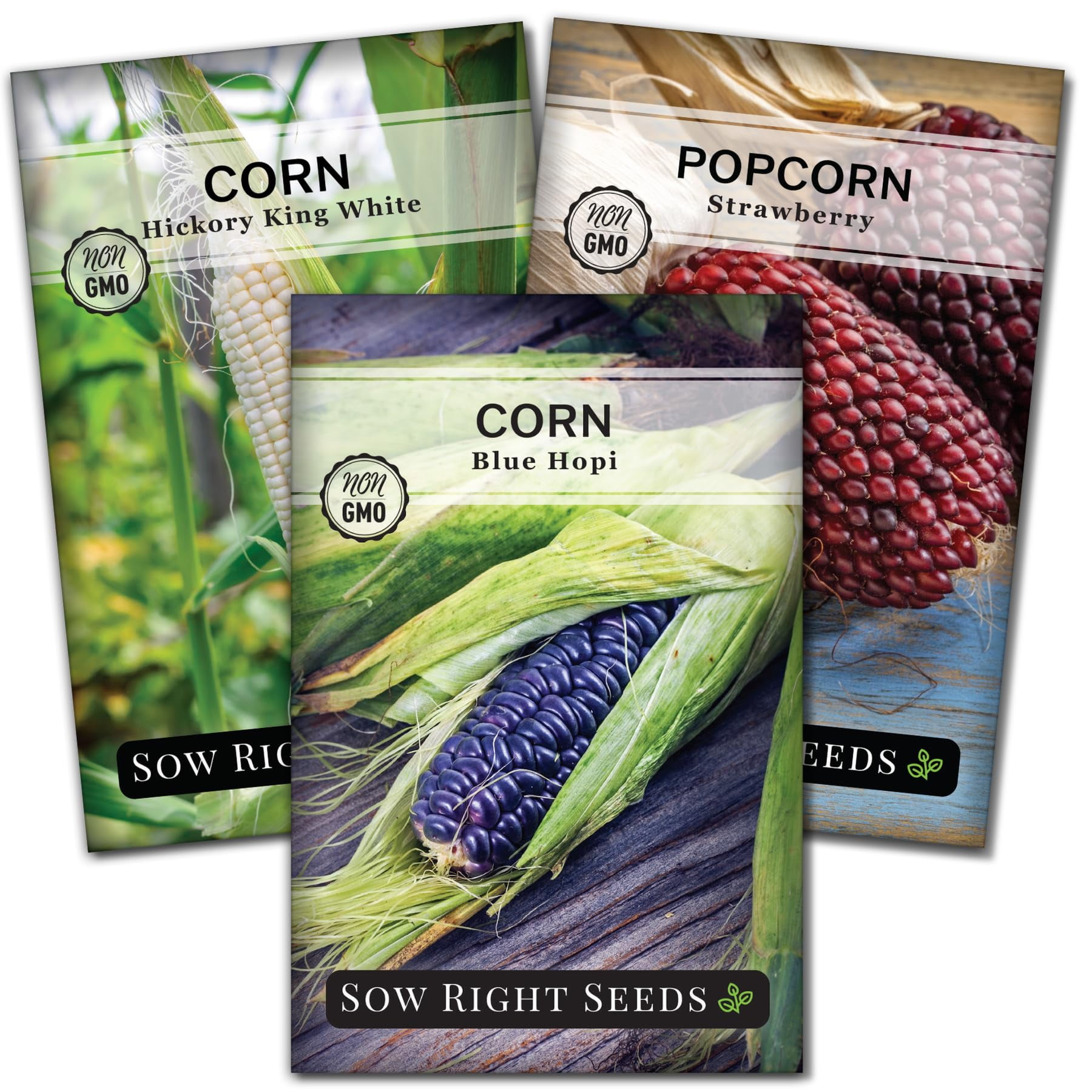 Sow Right Seeds - Rare Corn Seed MHD1Collection for Strawberry Popcorn ...