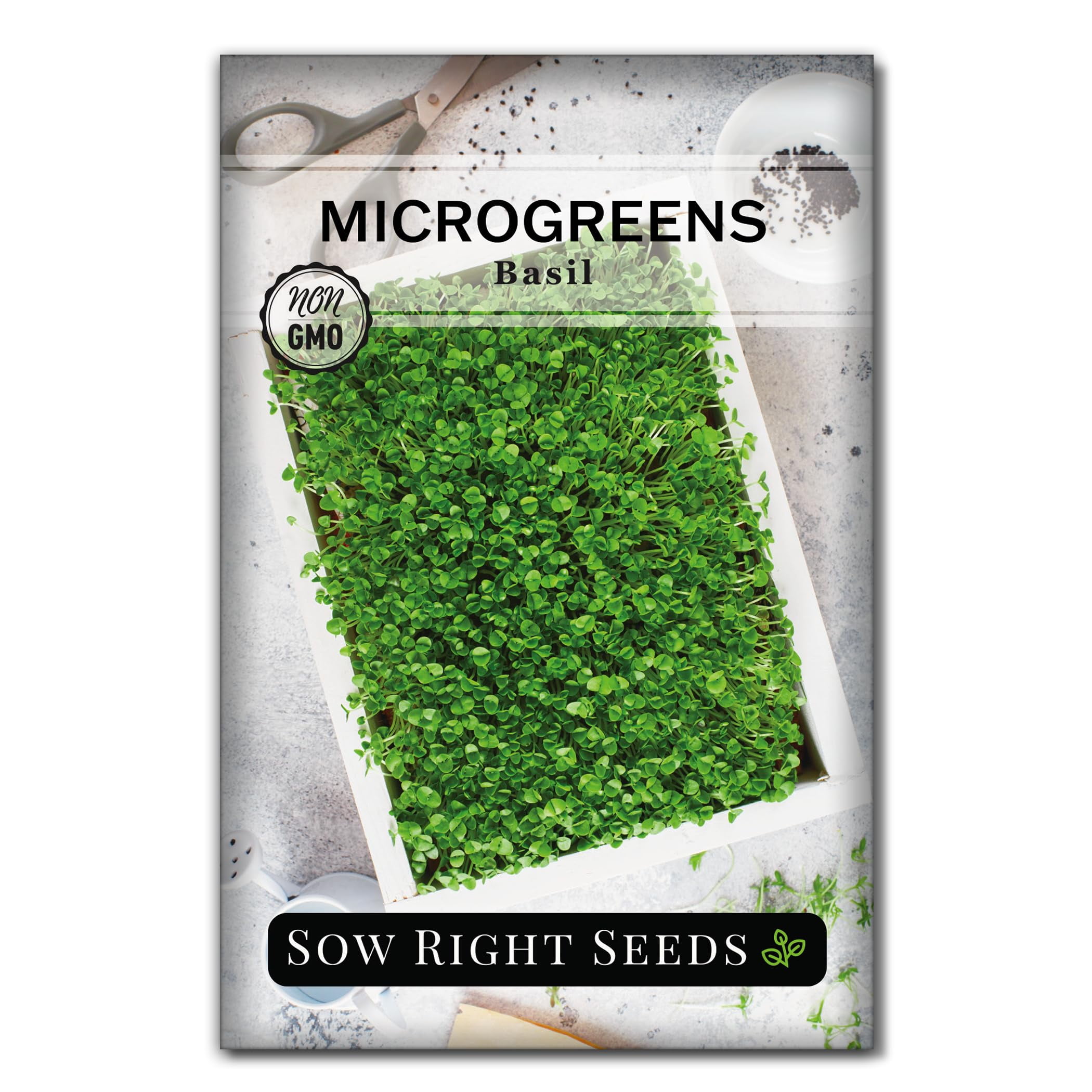 Sow Right Seeds - Sweet Basil Microgreen MHD1Seed for Instructions to ...